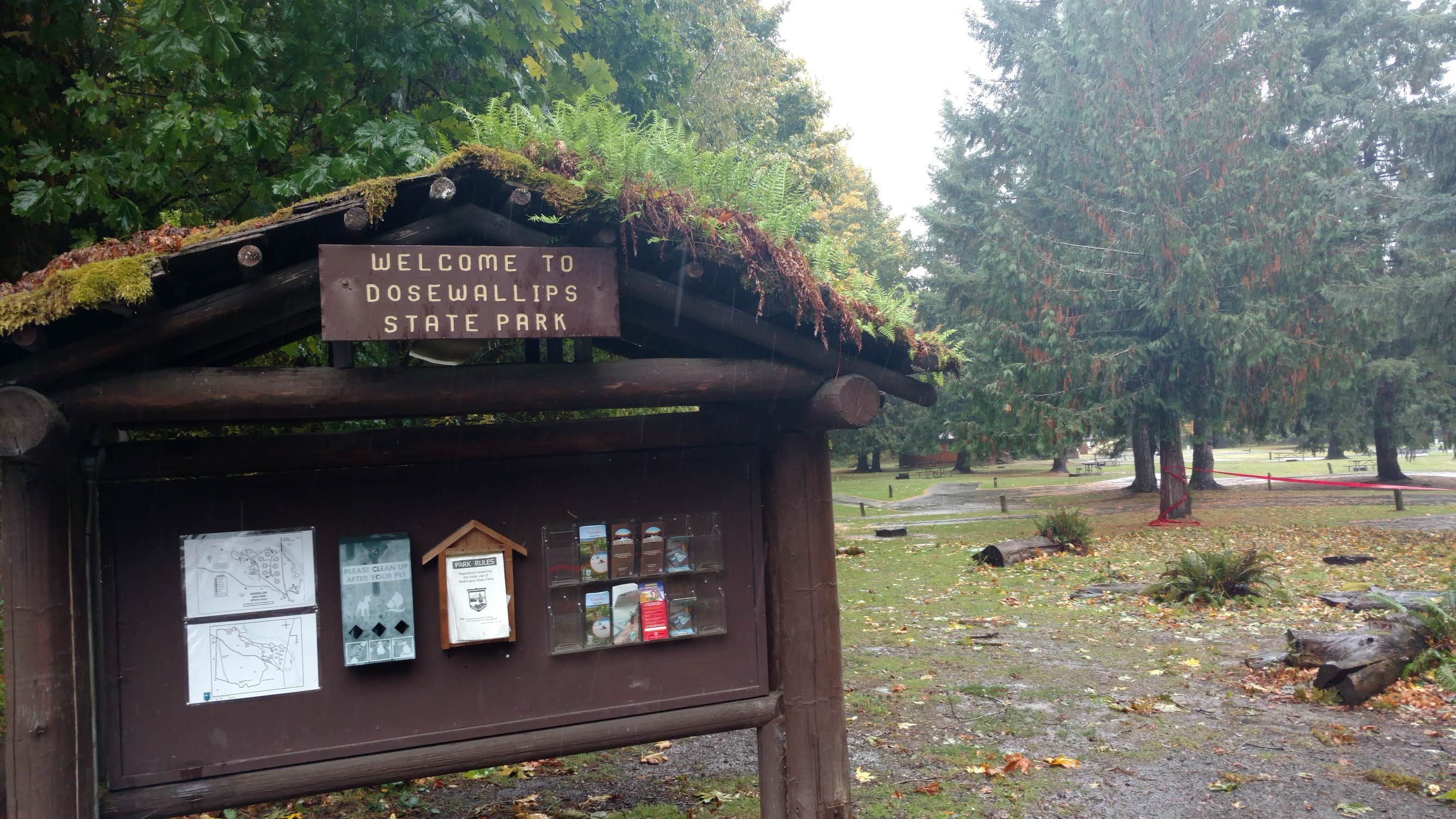 Dosewallips State Park Campground | Brinnon, WA