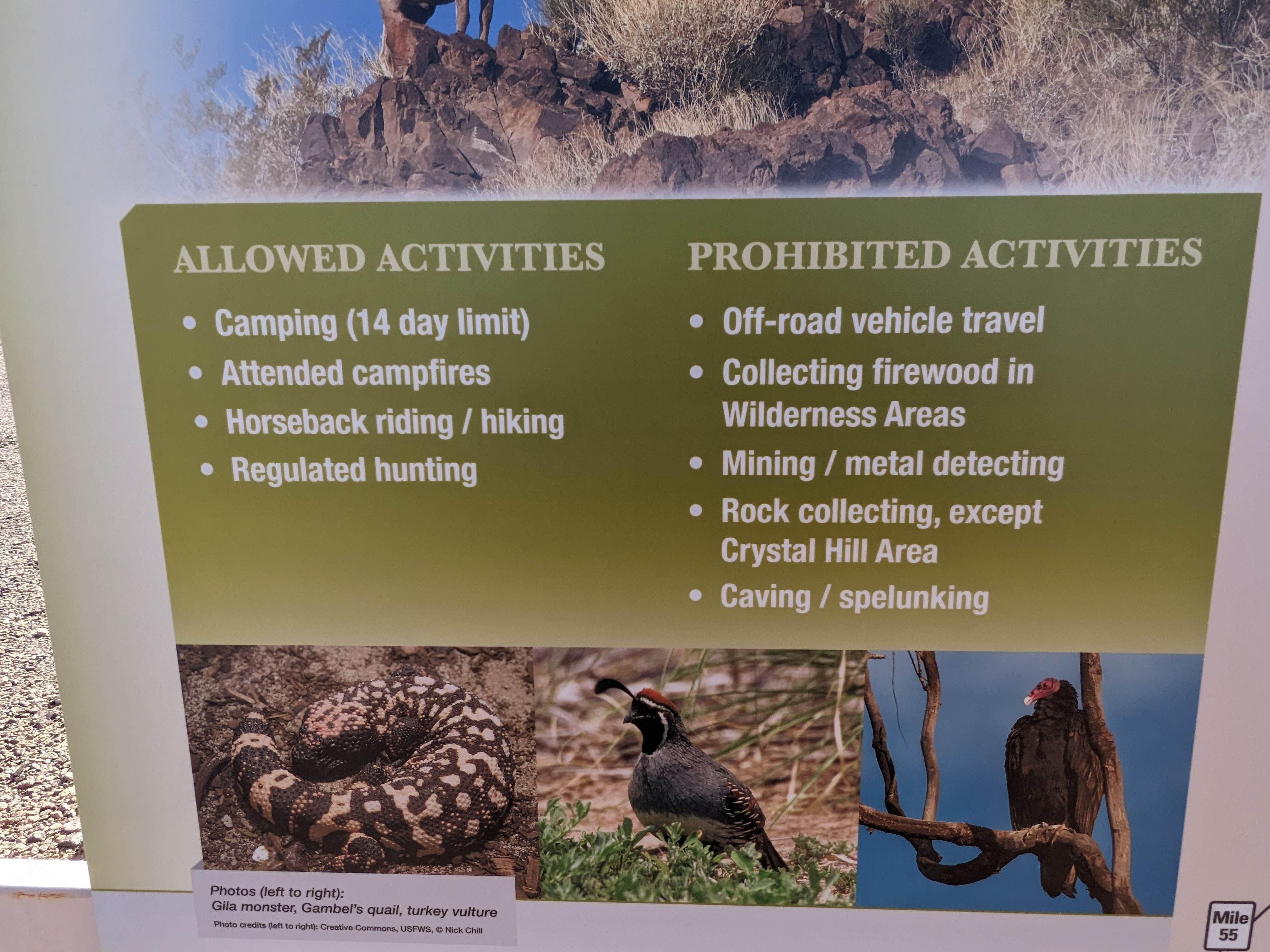 BLM Palm Canyon Road Dispersed Camping | Quartzsite, AZ