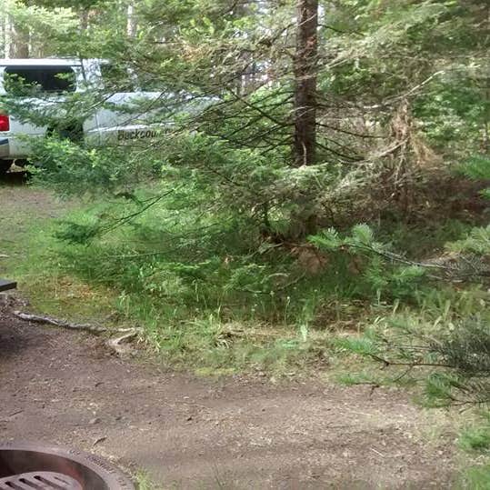 Little Isabella River Campground | Isabella, MN