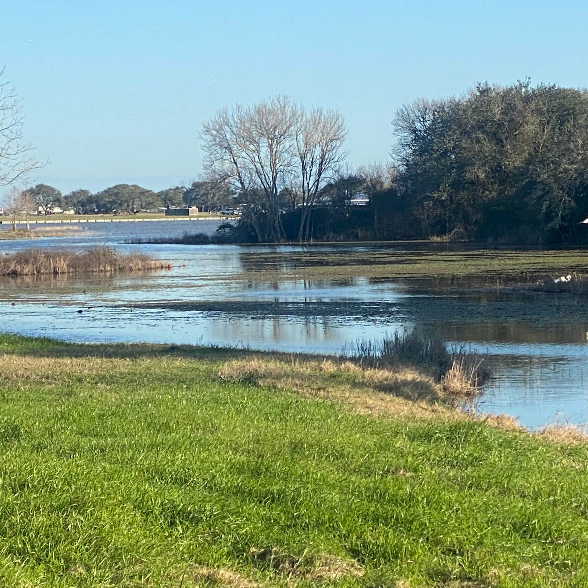 Brackenridge Recreation Complex Camping | Edna, Texas