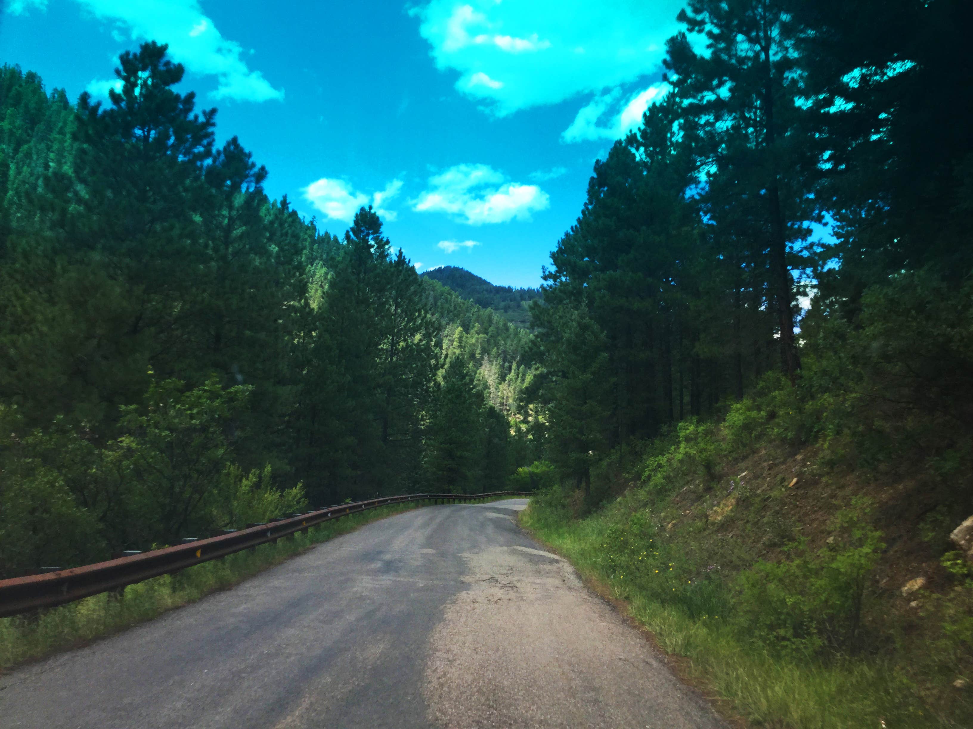 Cowles Campground | Pecos, NM
