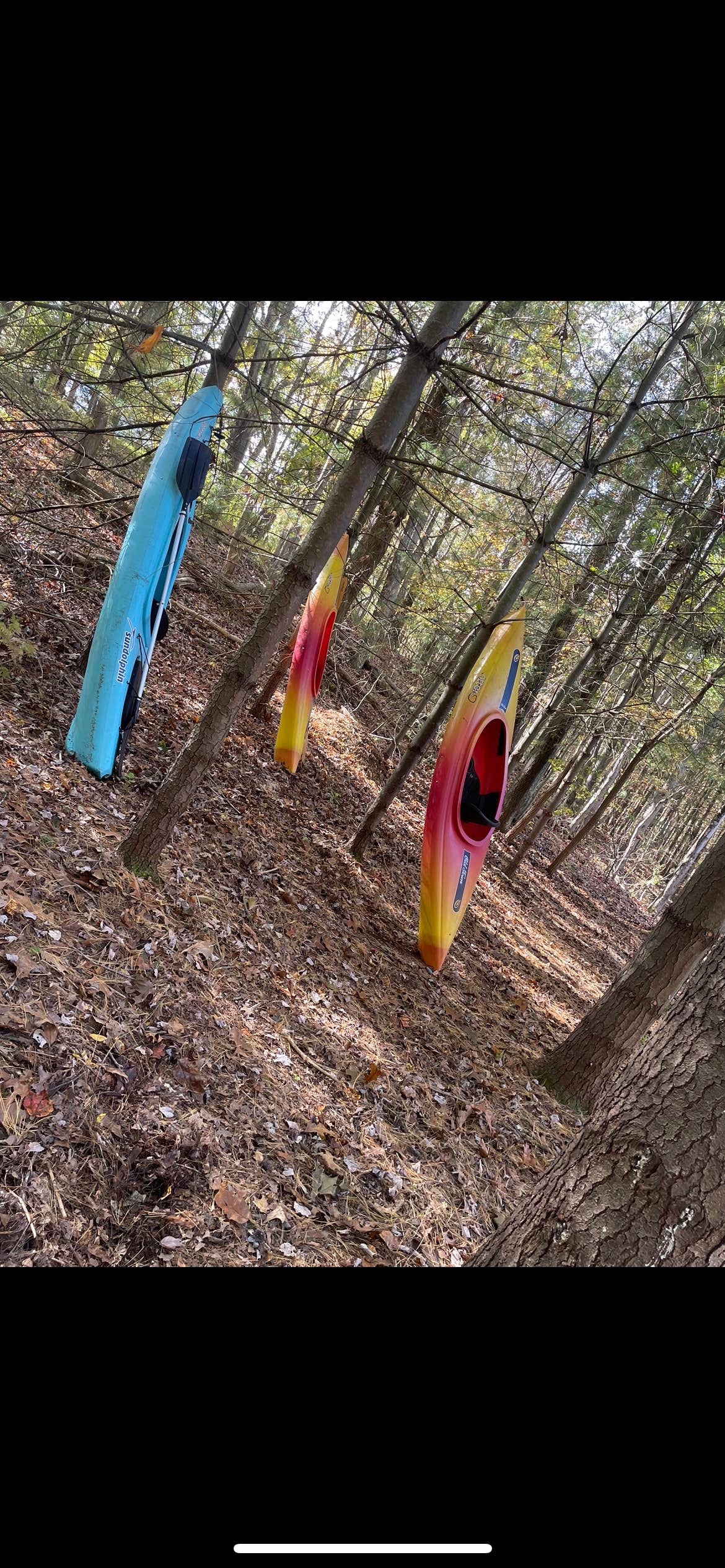 Starry Pond Camping | Parkton, MD