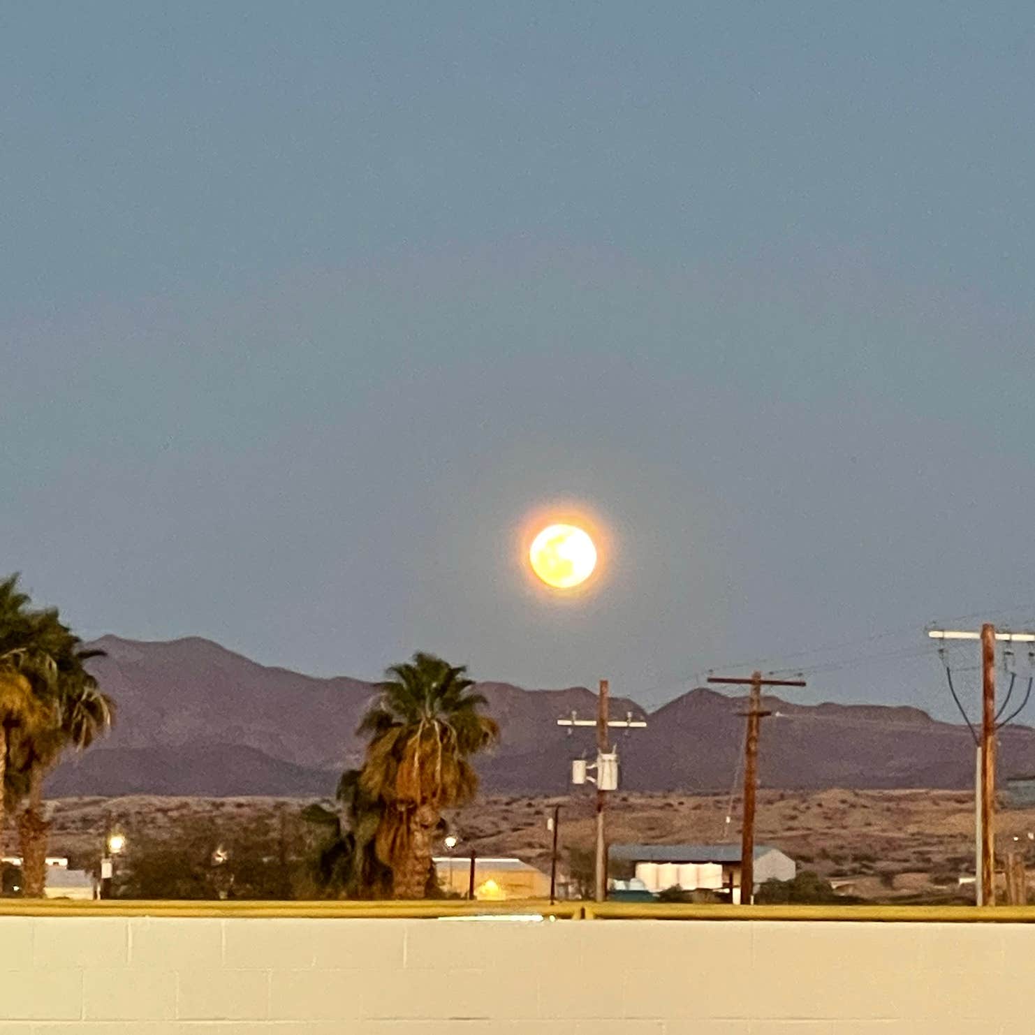 Arizona Oasis RV Resort | Blythe, California