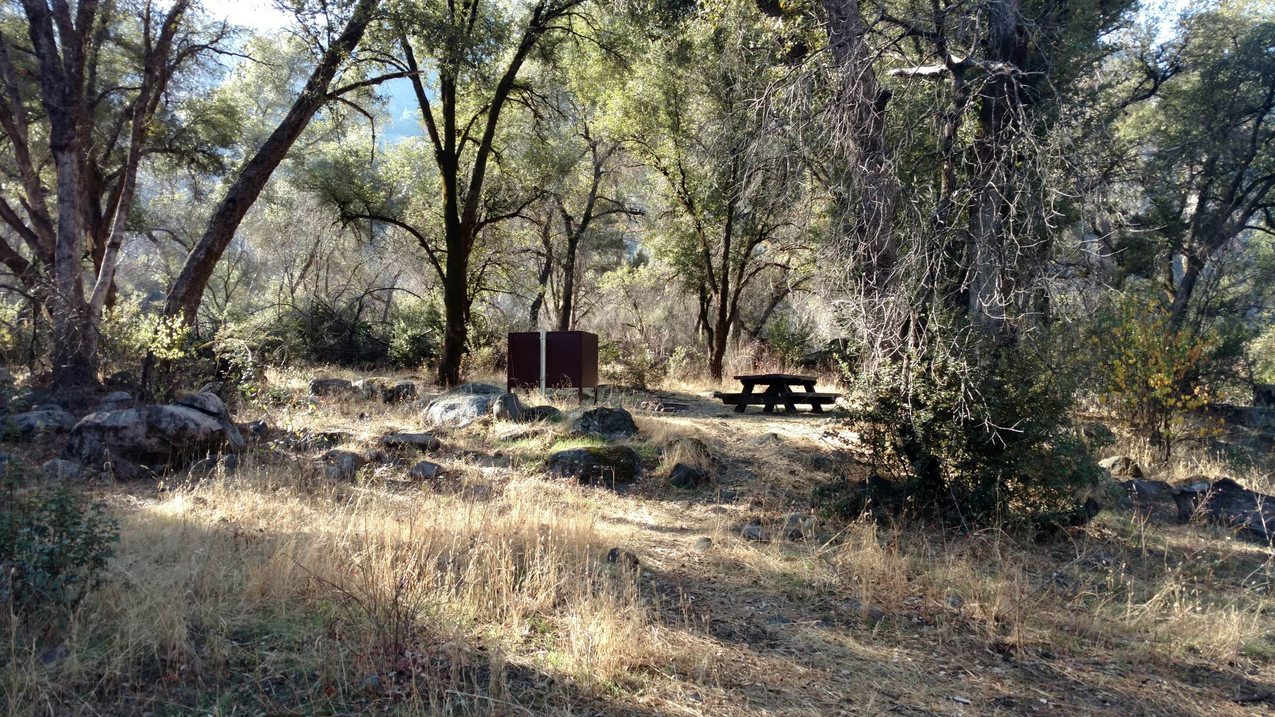 Lumsden Bridge Campground | The Dyrt