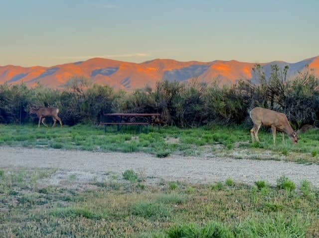 Cortez RV Resort by Rjourney | Cortez, CO