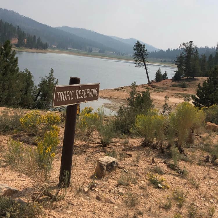 Dixie Forest RV Resort by Rjourney Camping | The Dyrt