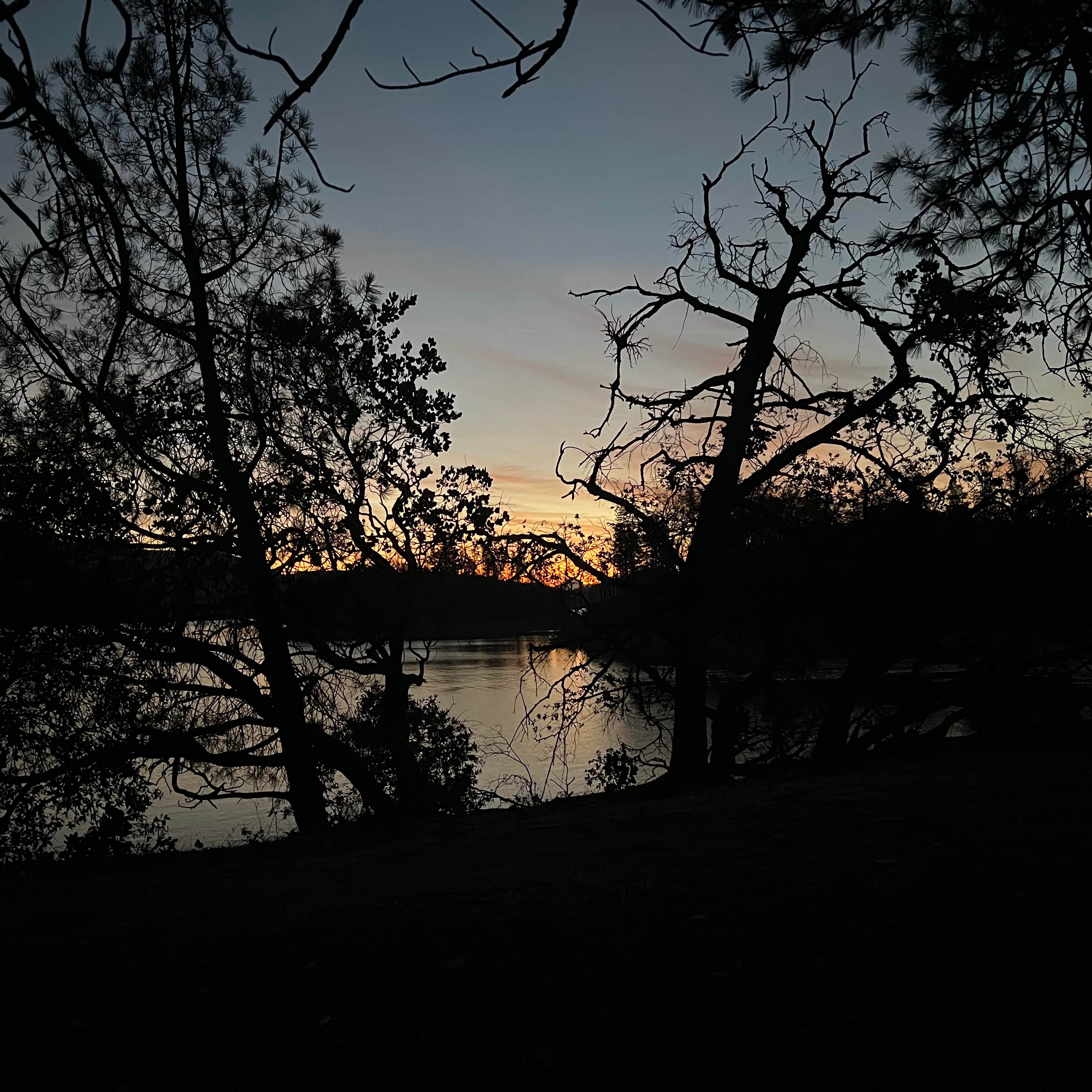 Thousand Trails Turtle Beach Camping | Manteca, CA