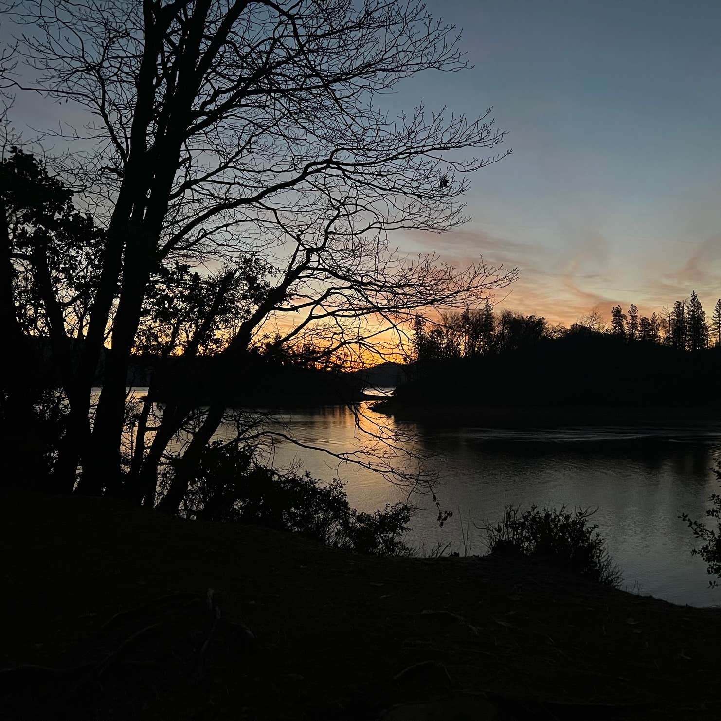 Thousand Trails Turtle Beach Camping | Manteca, CA