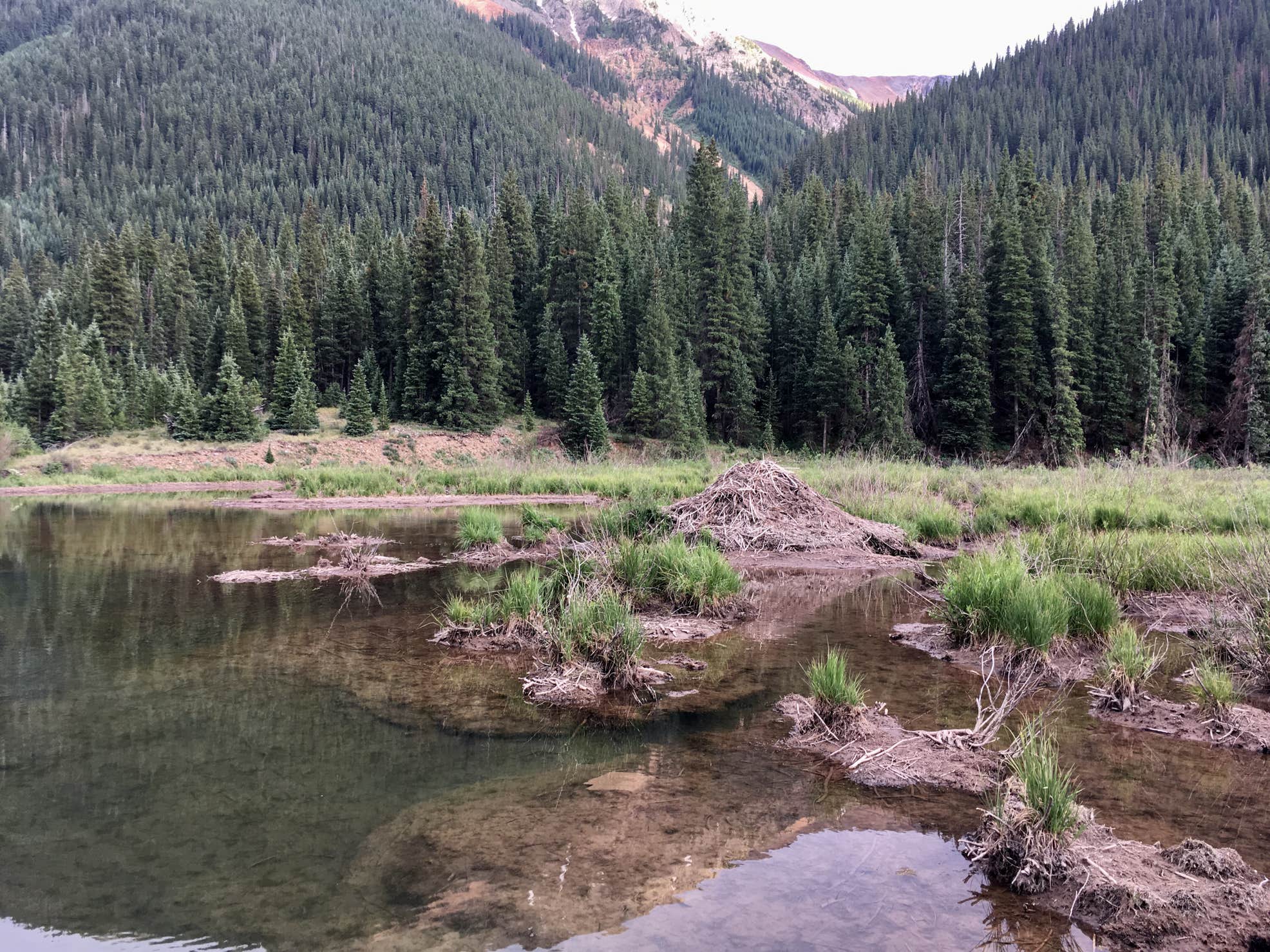 Red Mountain RV Park Camping | The Dyrt