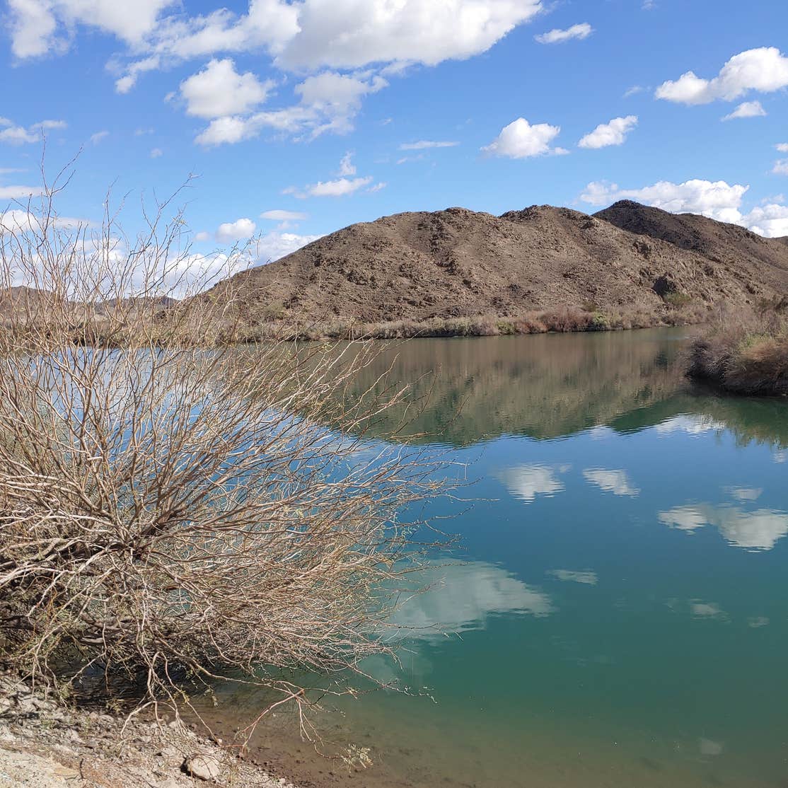 Lake Mittry Wildlife Designated Camping Area | Winterhaven, California