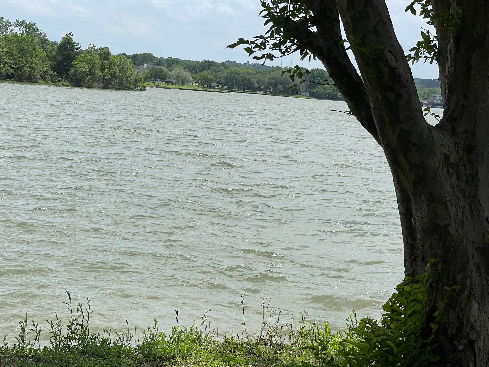 Lake Conroe RV Campground | Willis, TX