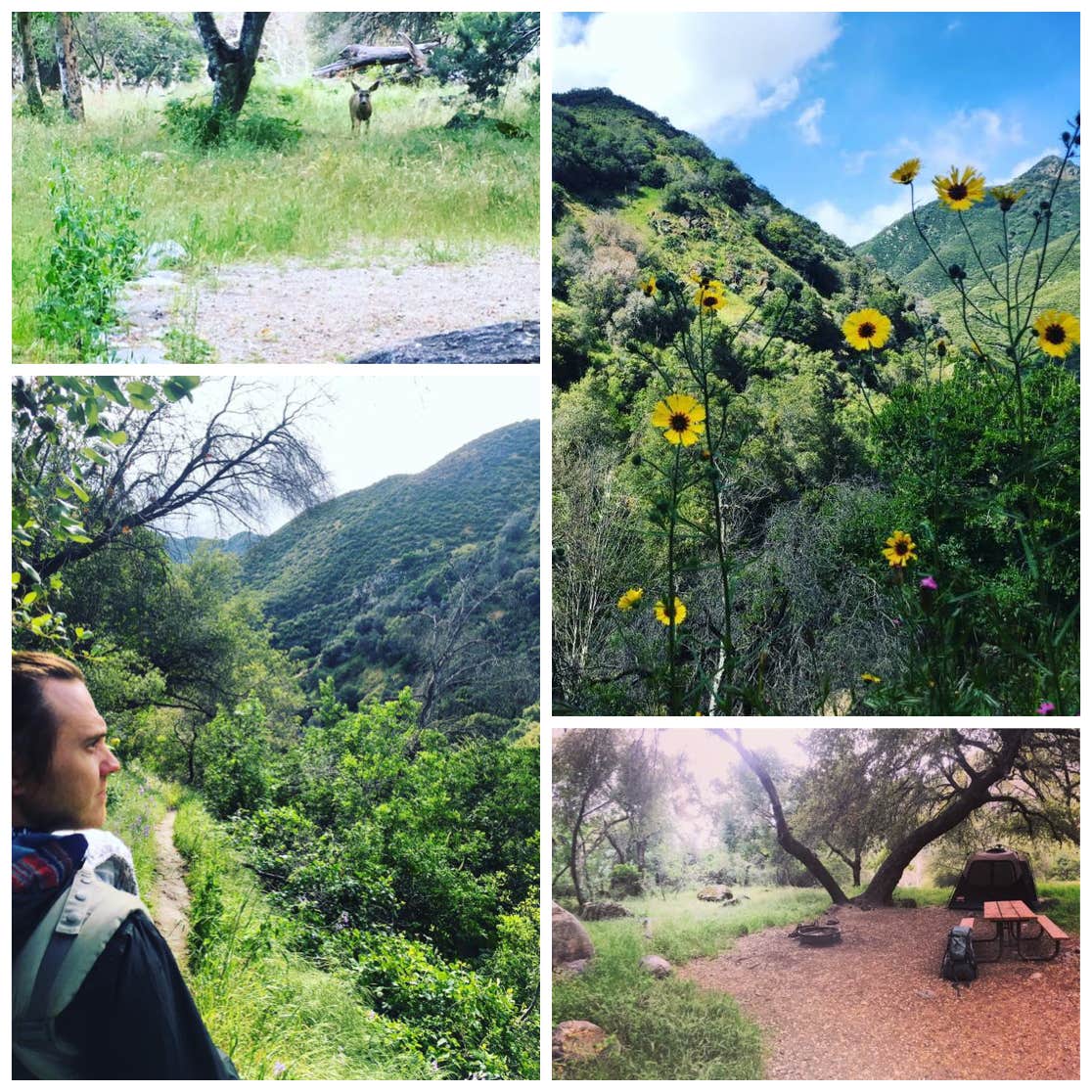 Potwisha Campground — Sequoia National Park | Three rivers, CA