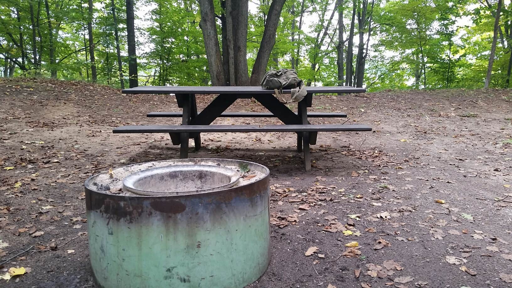 Lake Ann State Forest Campground | Lake Ann, MI