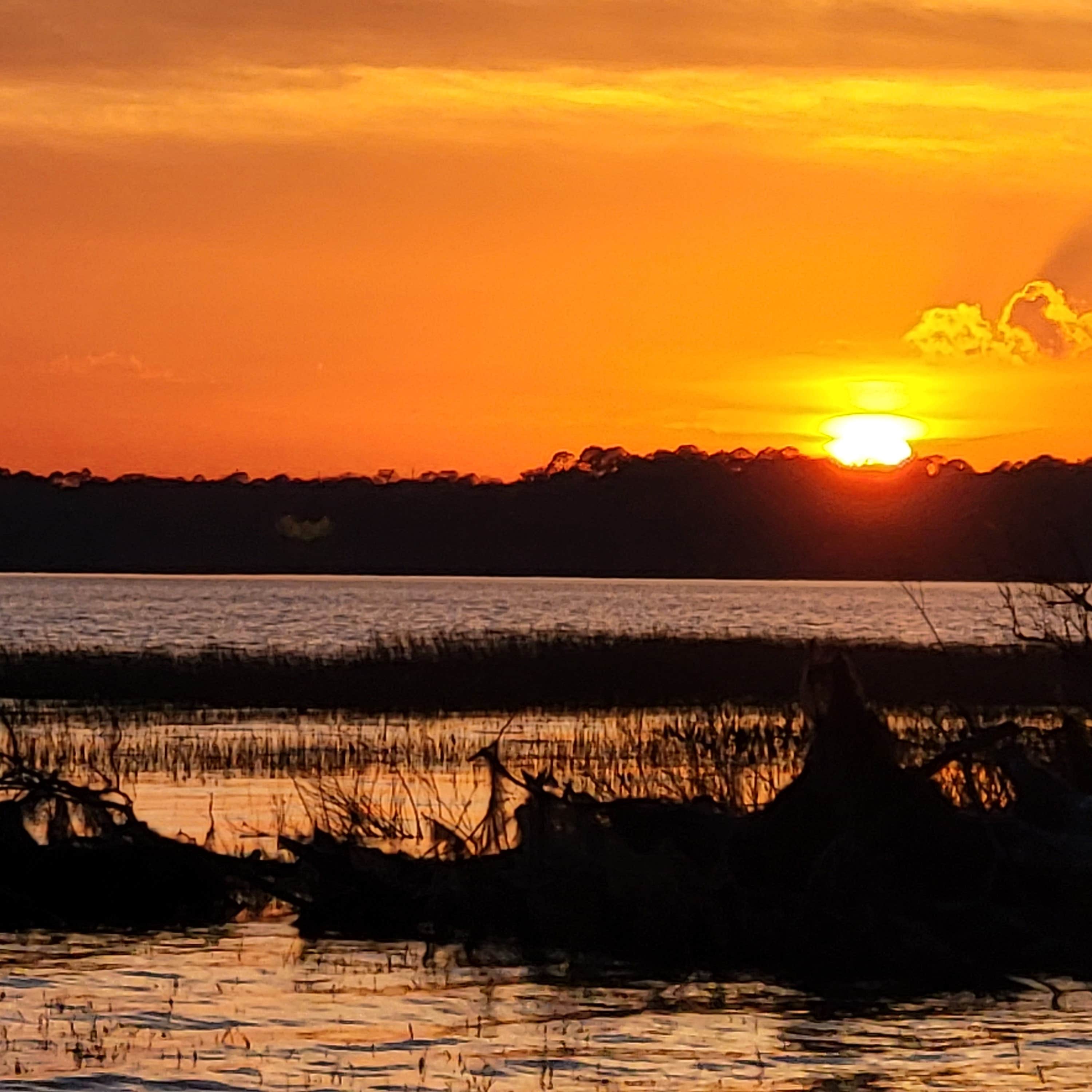 Ocean Pond Campground | Olustee, Florida