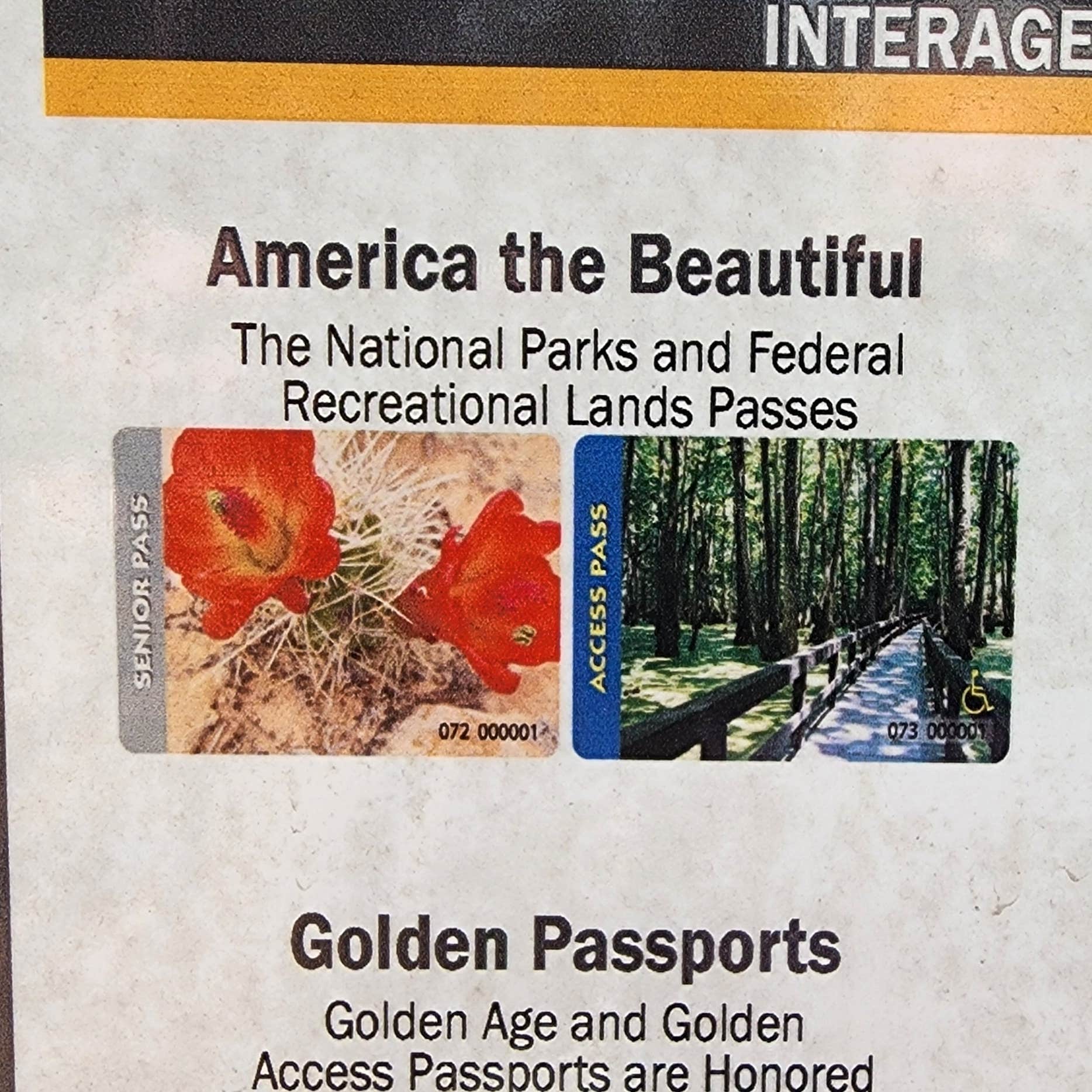 Ocean Pond Campground | Olustee, Florida