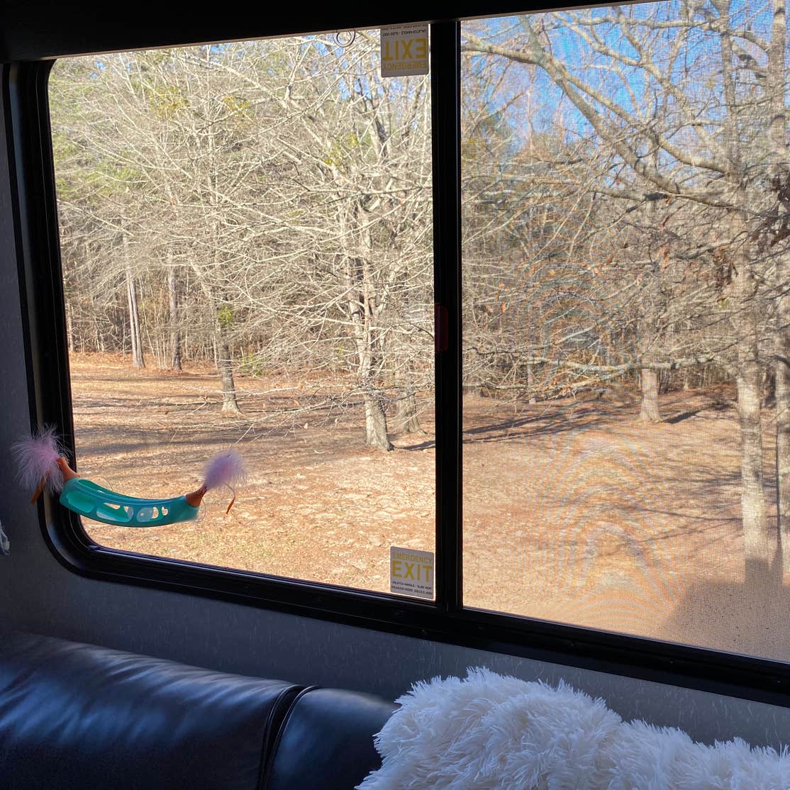 Scenic Mountain RV Park Camping | The Dyrt