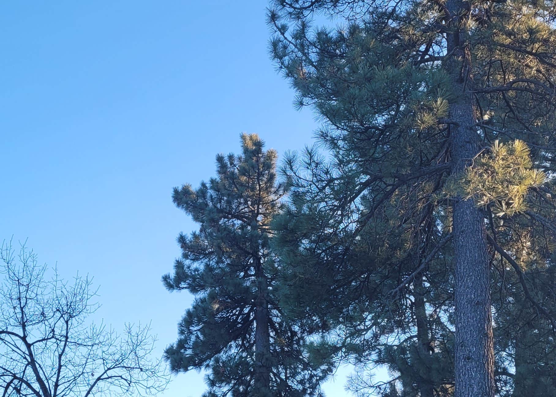 KQ Ranch Resort Camping | The Dyrt