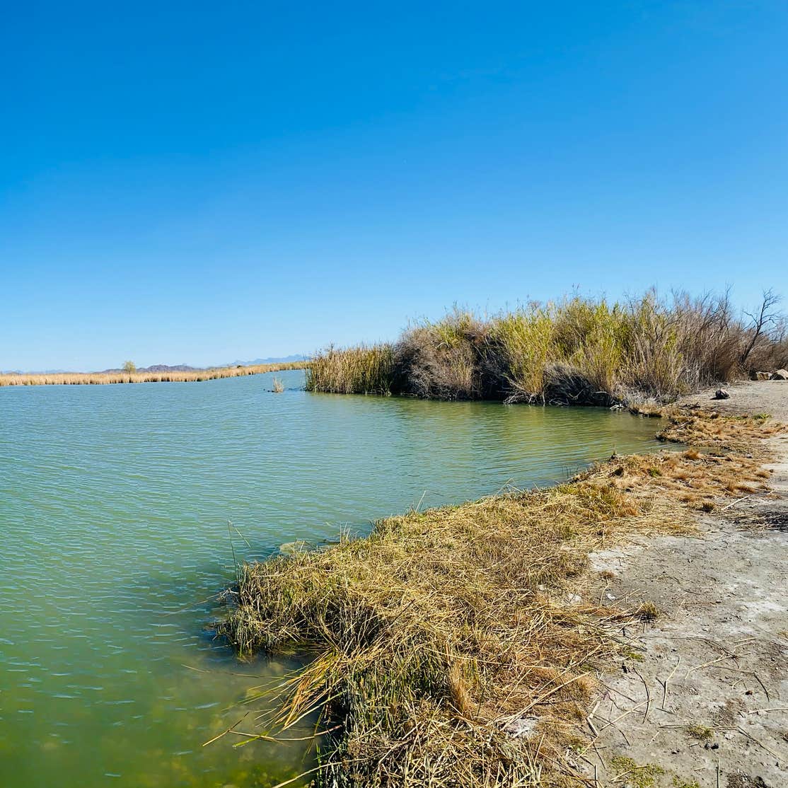 Lake Mittry Wildlife Designated Camping Area | Winterhaven, California