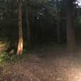 Blue Valley Dispersed Camping Camping | The Dyrt