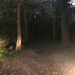 Blue Valley Dispersed Camping Camping | The Dyrt