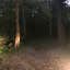 Blue Valley Dispersed Camping Camping | The Dyrt