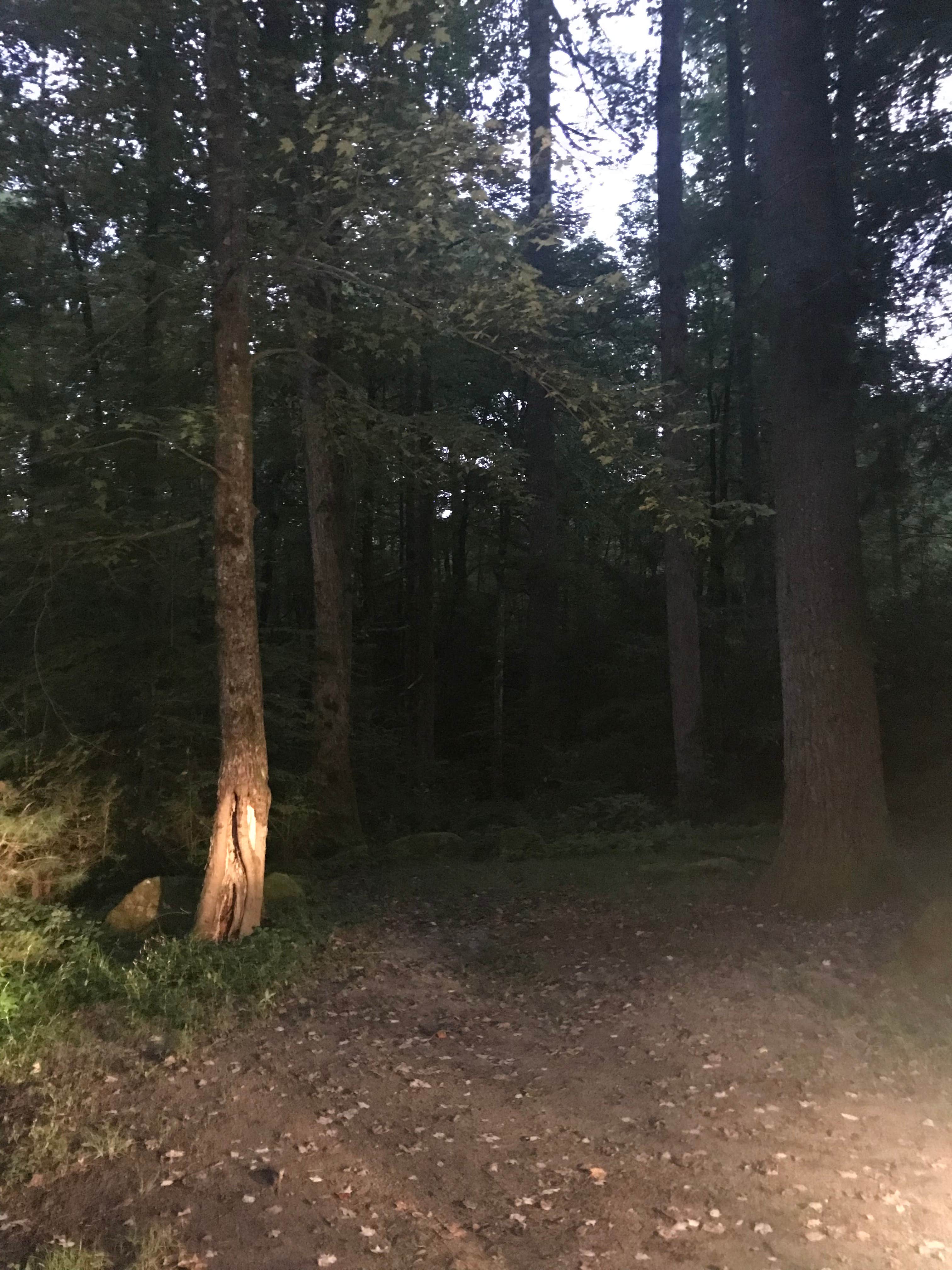 Blue Valley Dispersed Camping | Highlands, North Carolina