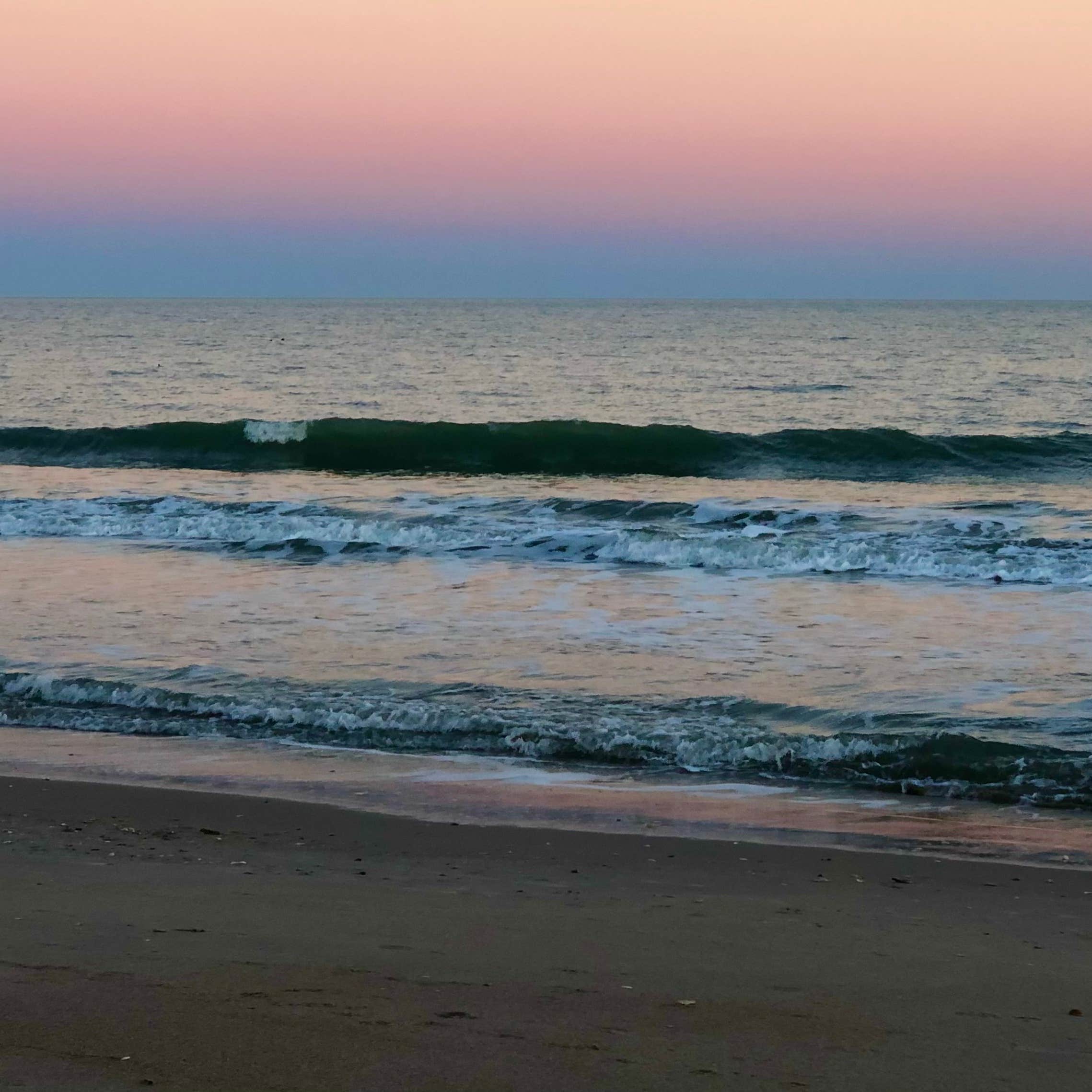 Edisto Beach State Park Campground | Edisto Island, South Carolina