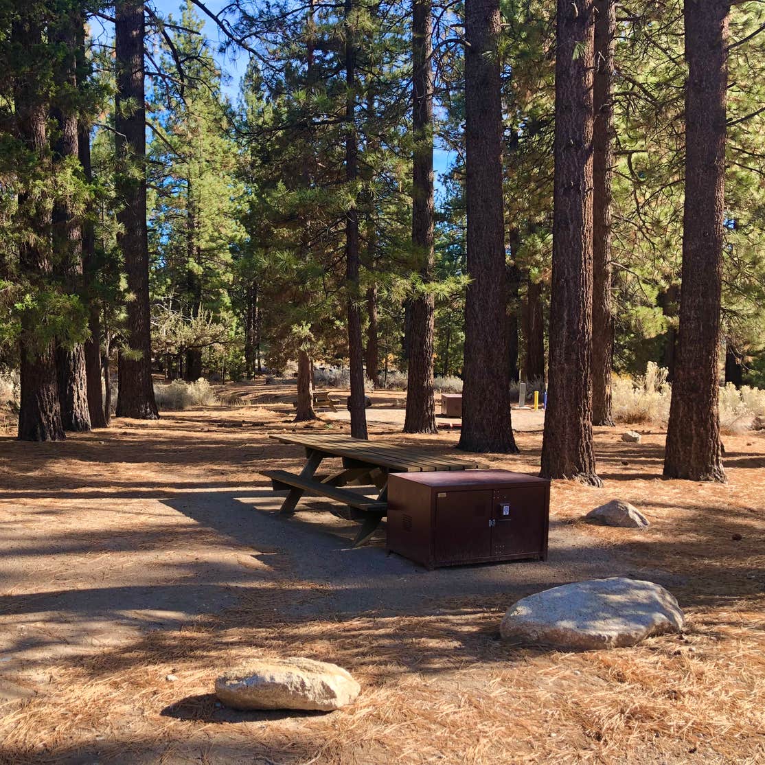 Serrano Camping | Fawnskin, CA