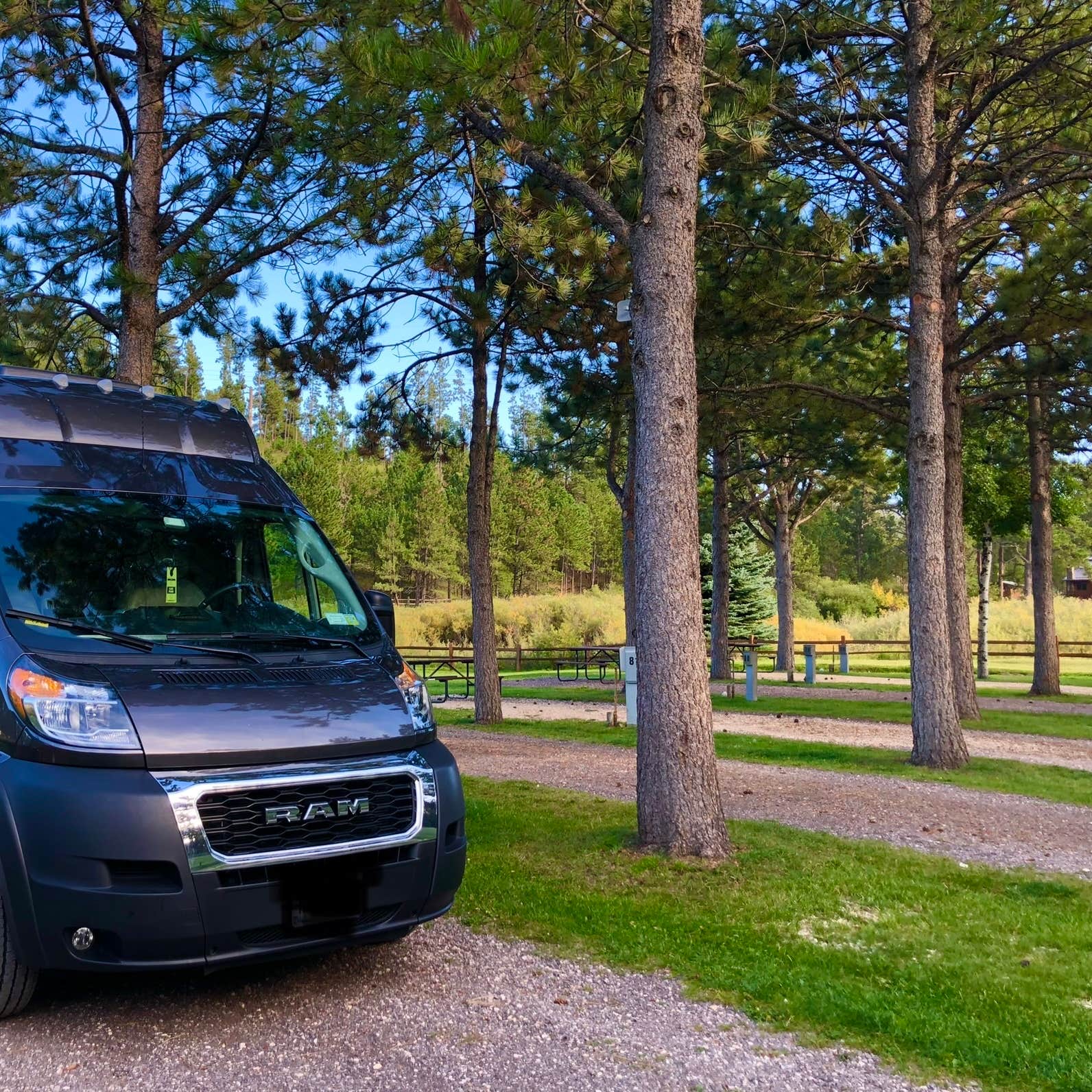 Larsson’s Crooked Creek RV Resort | Hill City, South Dakota