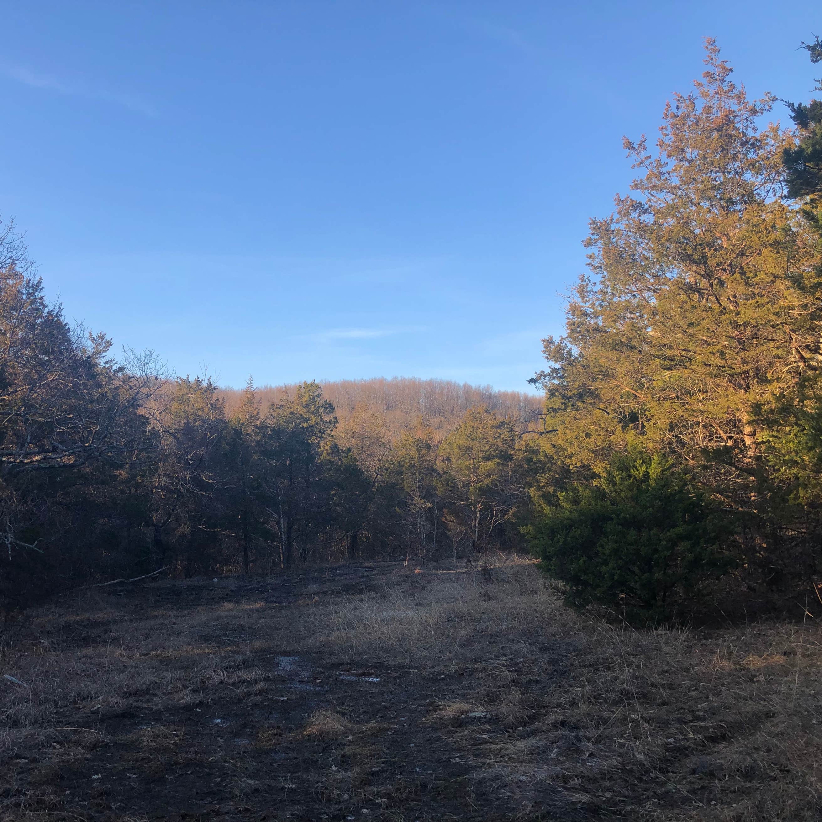 Blair Ridge Rd Dispersed Camping | Greeson Lake, Arkansas