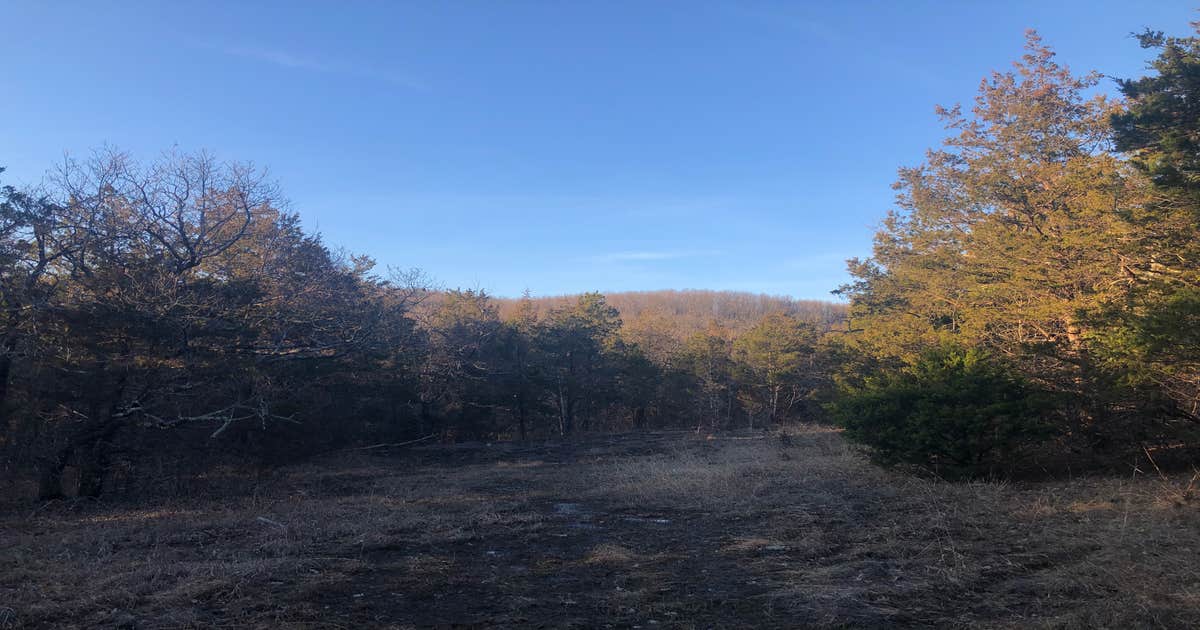 Camper-Submitted Photos of Blair Ridge Rd Dispersed