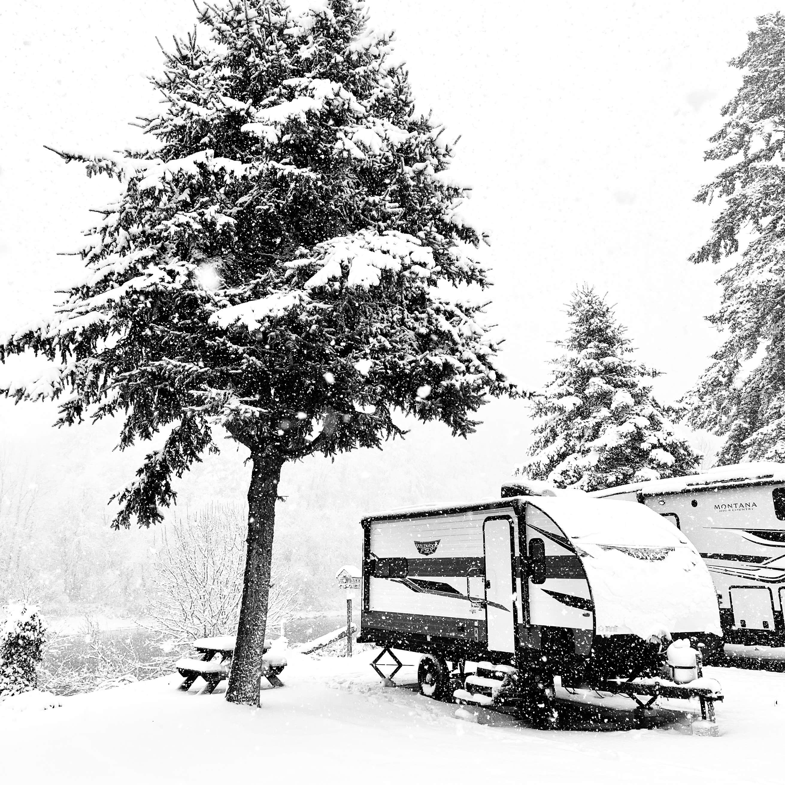 Sandy Riverfront RV Resort | Troutdale, Oregon