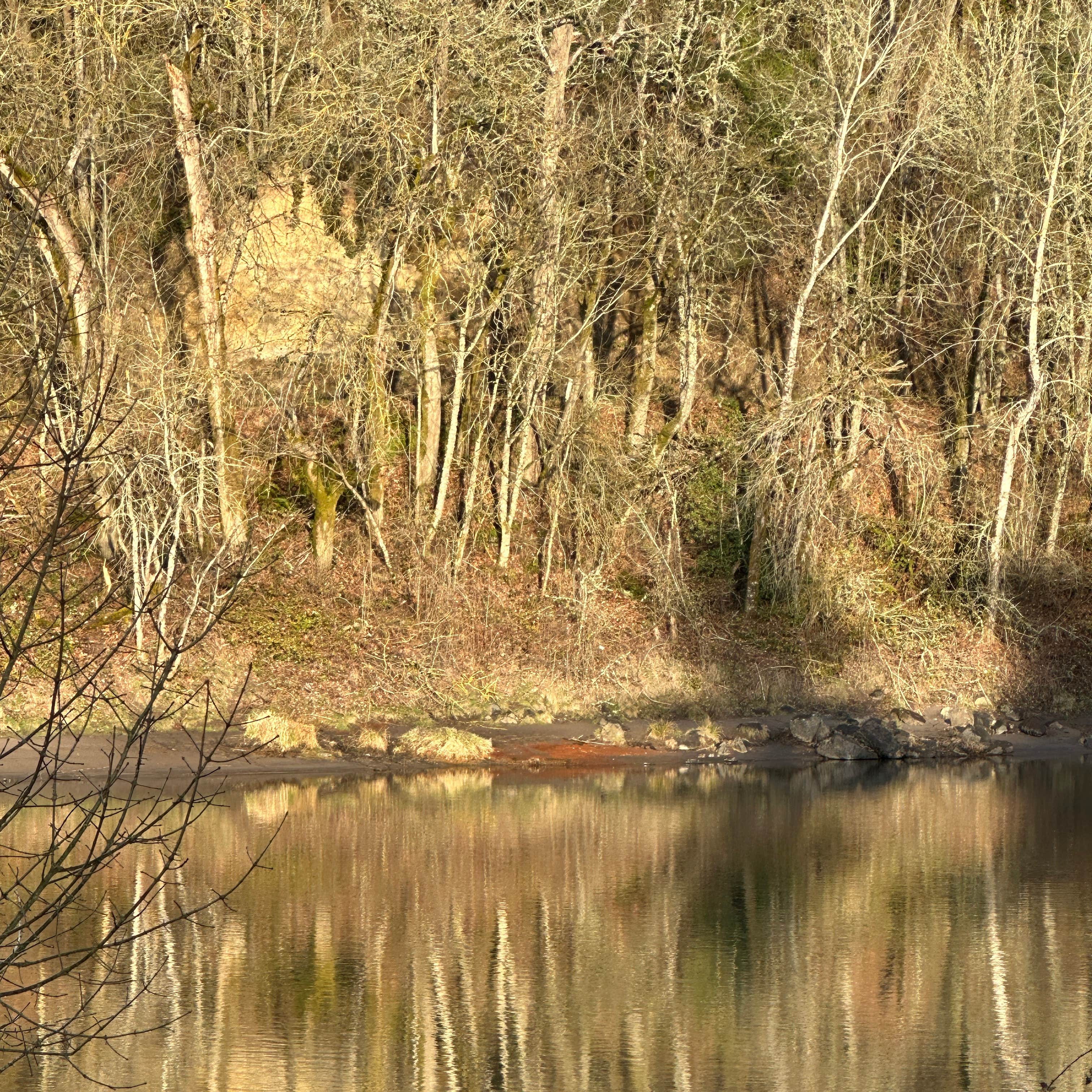 Sandy Riverfront RV Resort | Troutdale, Oregon