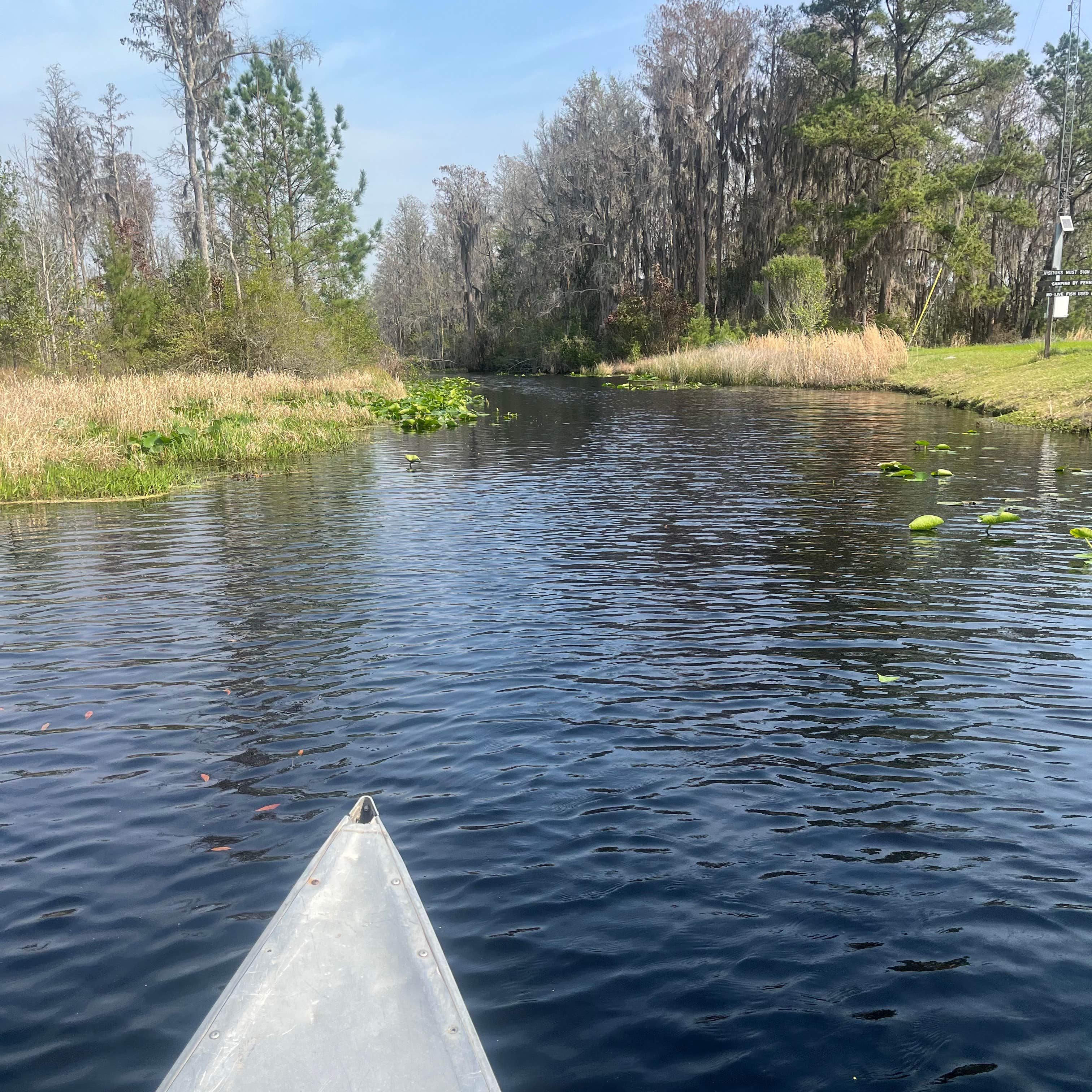 Stephen C. Foster State Park Campground | Fargo, Georgia