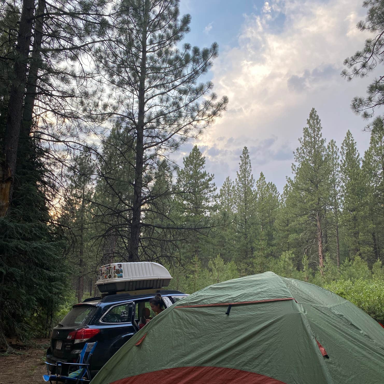 NF 4610 Roadside Dispersed Camping | Deschutes & Ochoco National ...