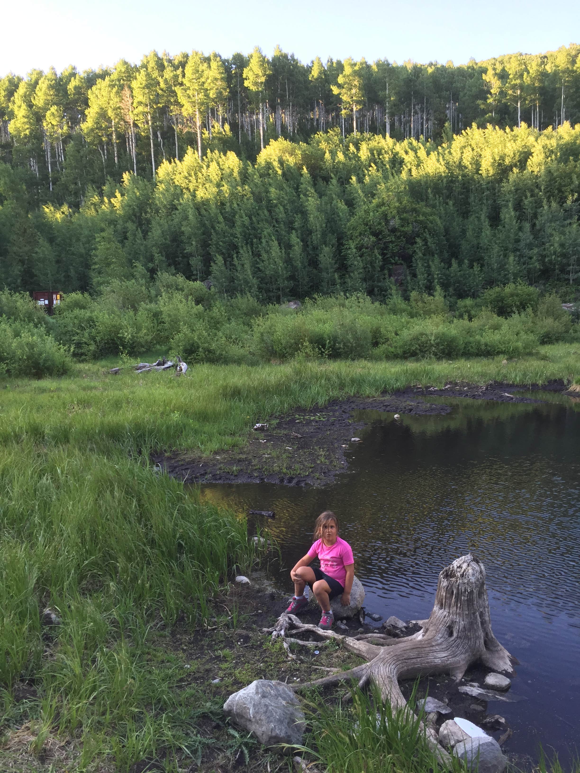 Fulford Cave Camping | The Dyrt