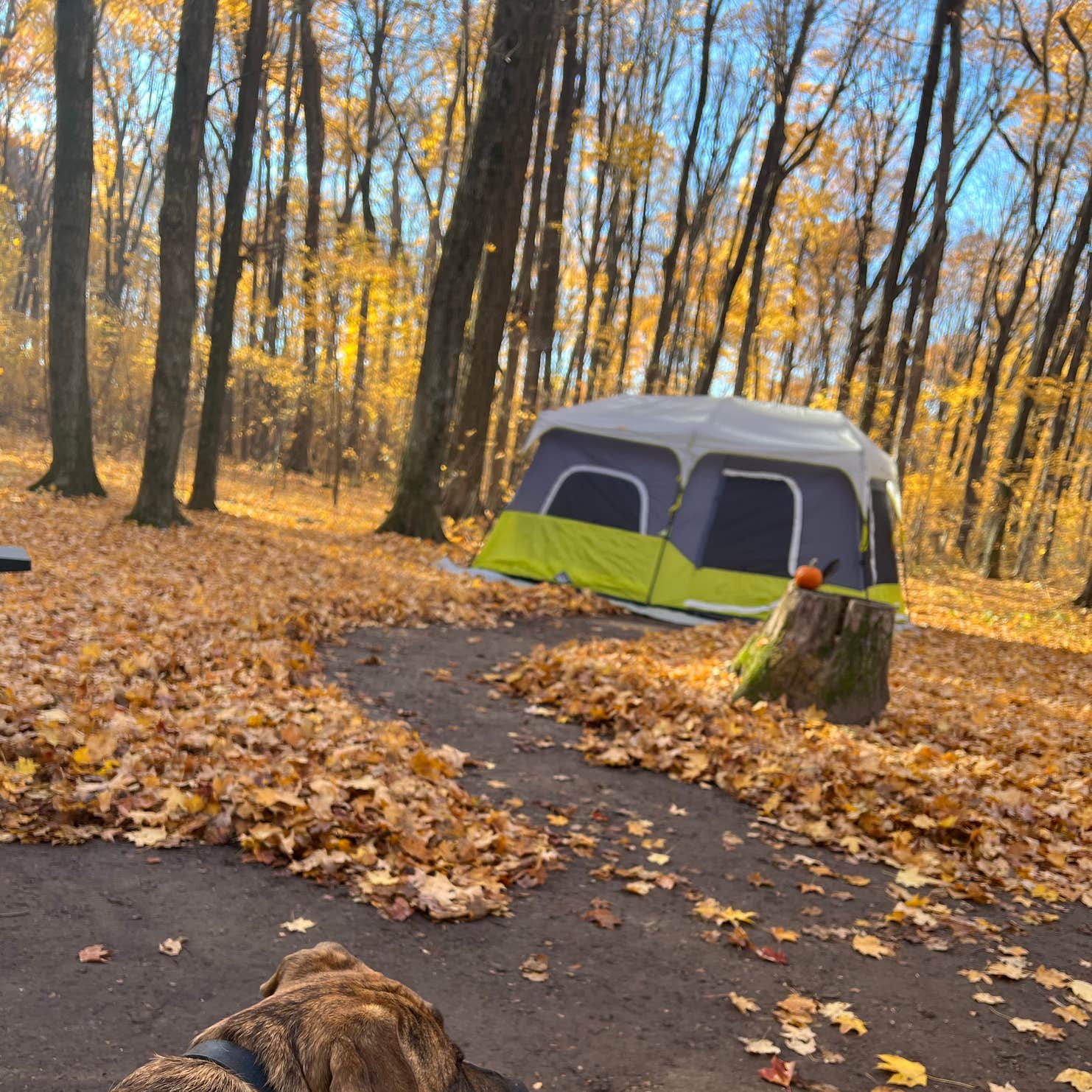 Ledge County Park Camping | Horicon, Wisconsin