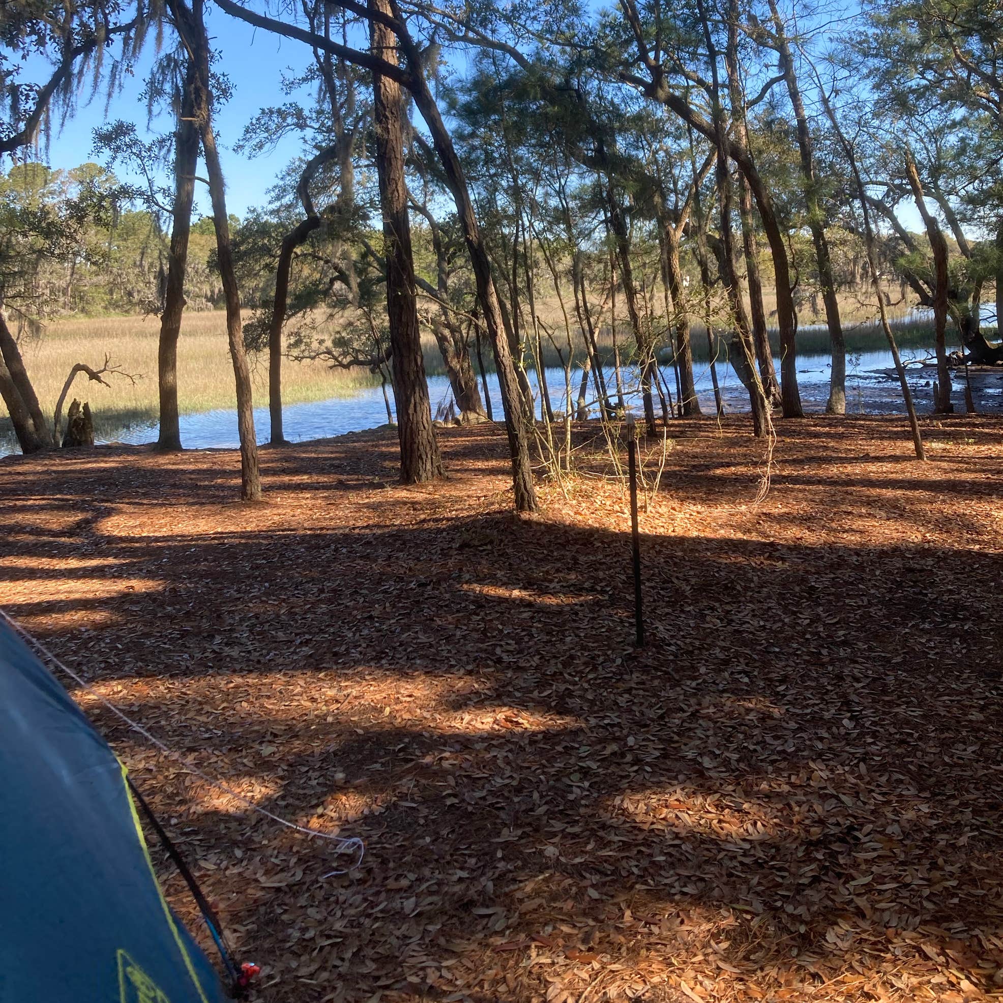 Hanscombe Point Campground Camping | The Dyrt