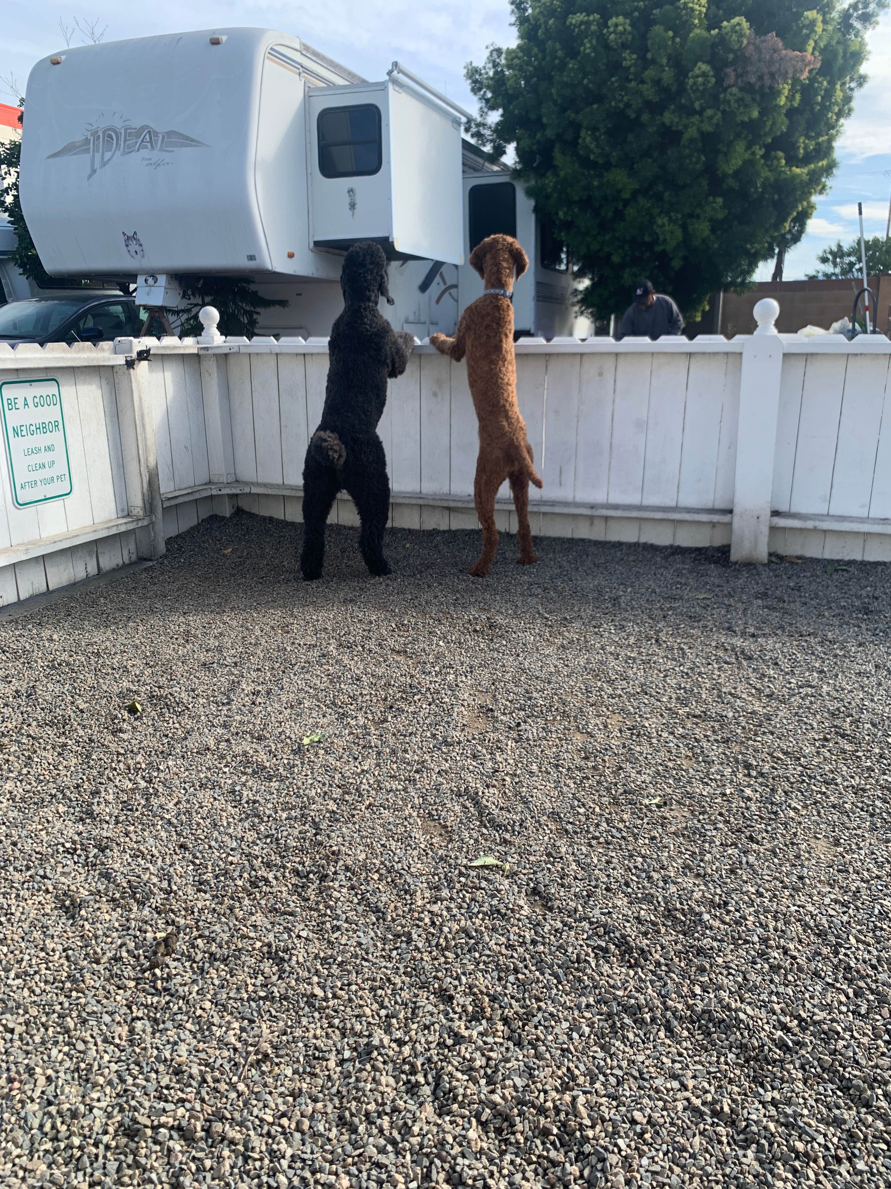 Orangeland RV Park | Orange, CA