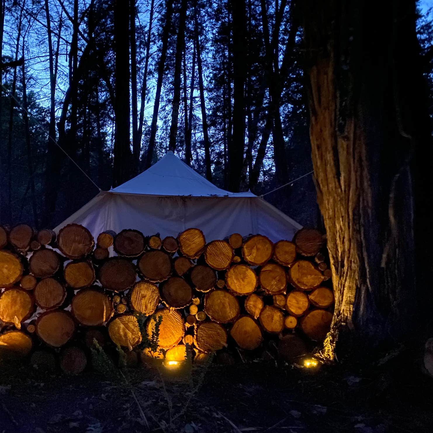 Radio Ranch Camping | The Dyrt