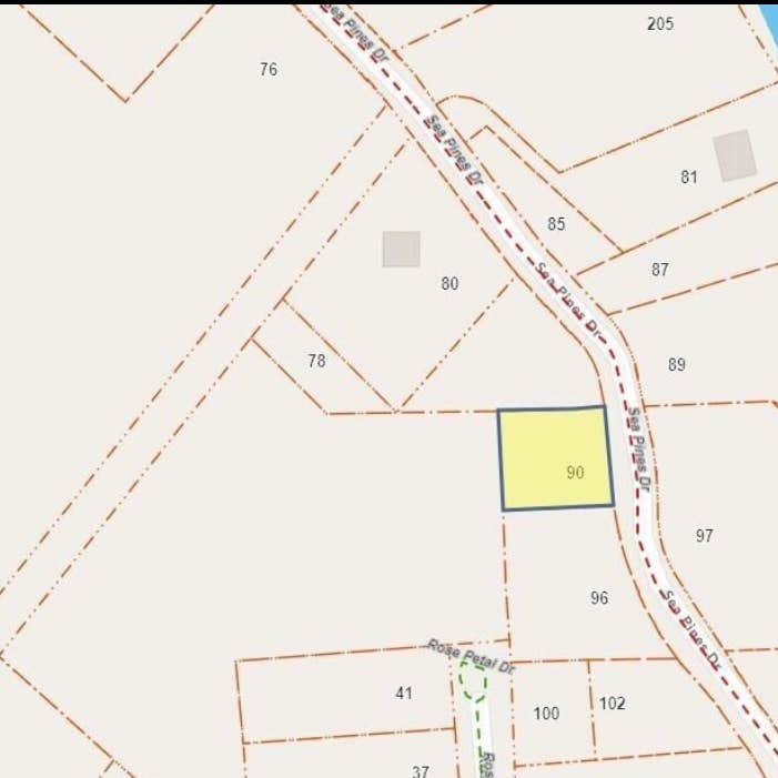 Sea Pines Beach Camping | The Dyrt