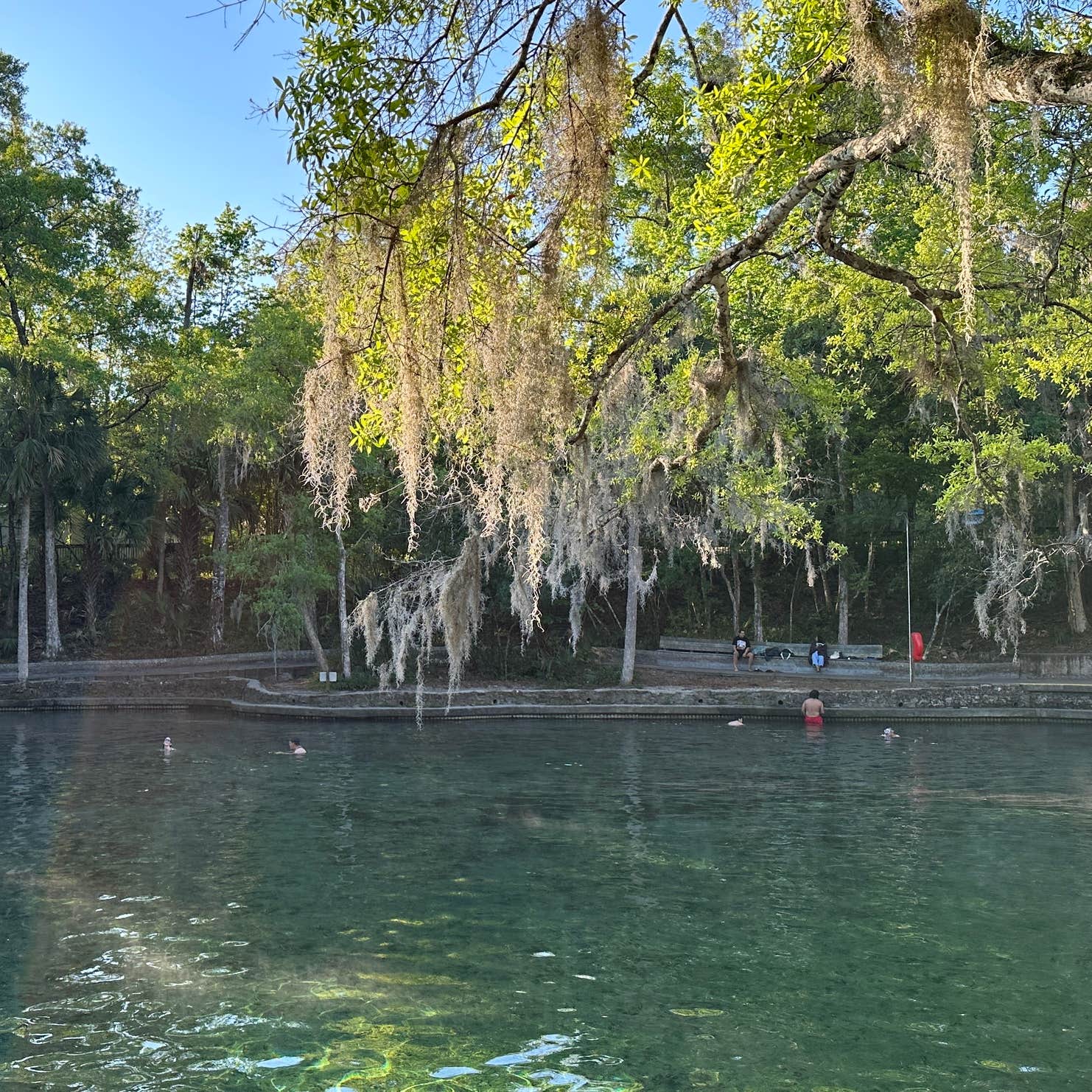 Wekiwa Springs State Park Campground | Apopka, Florida