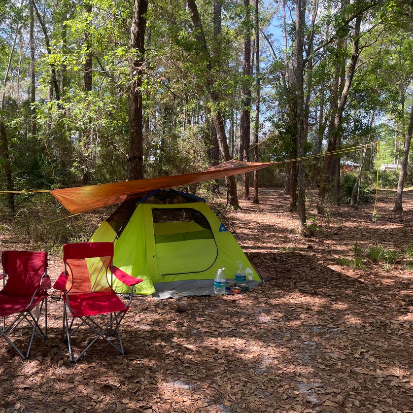 Okefenokee National Wildlife Refuge Camping | Fargo, Georgia