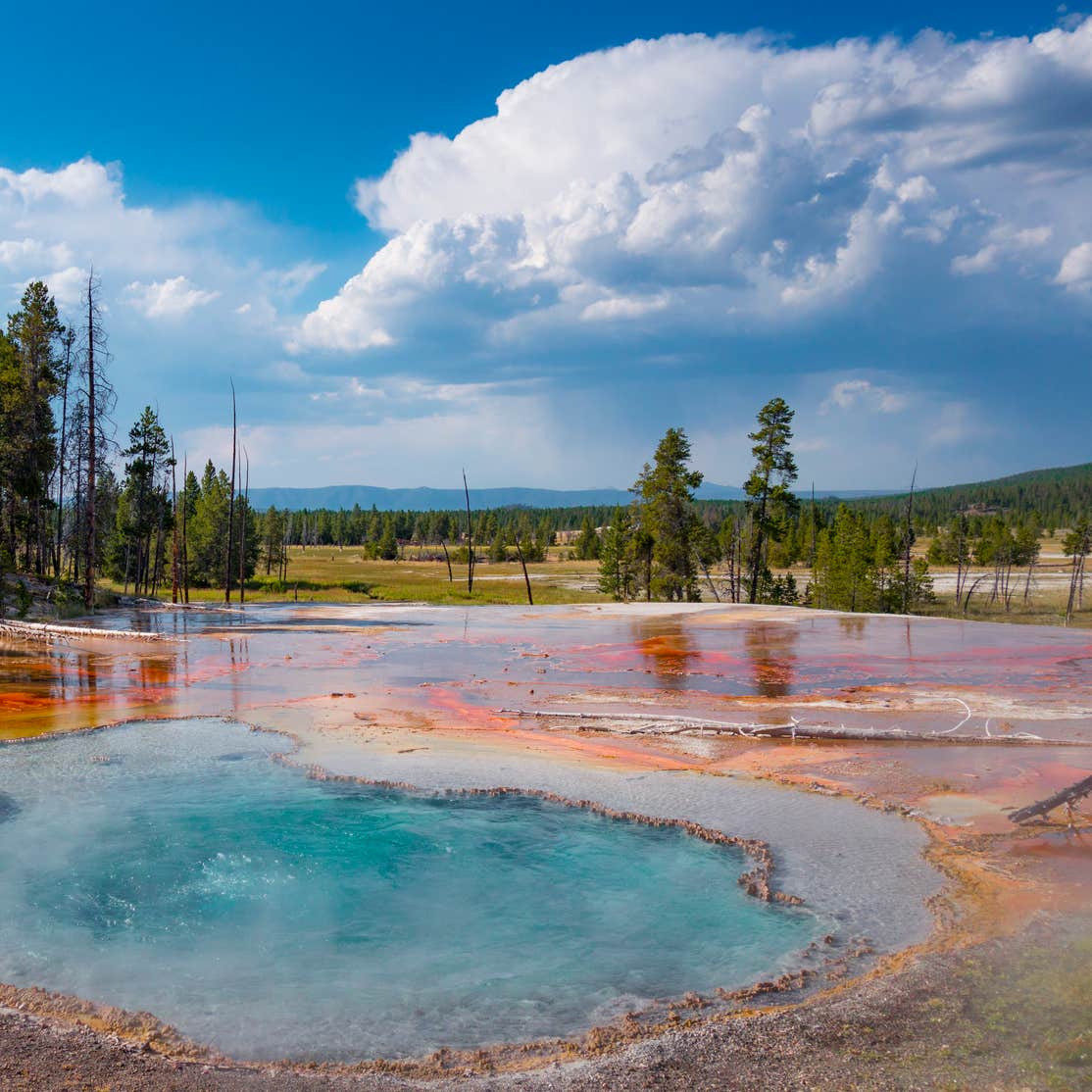 Grant Village Campground Camping | The Dyrt