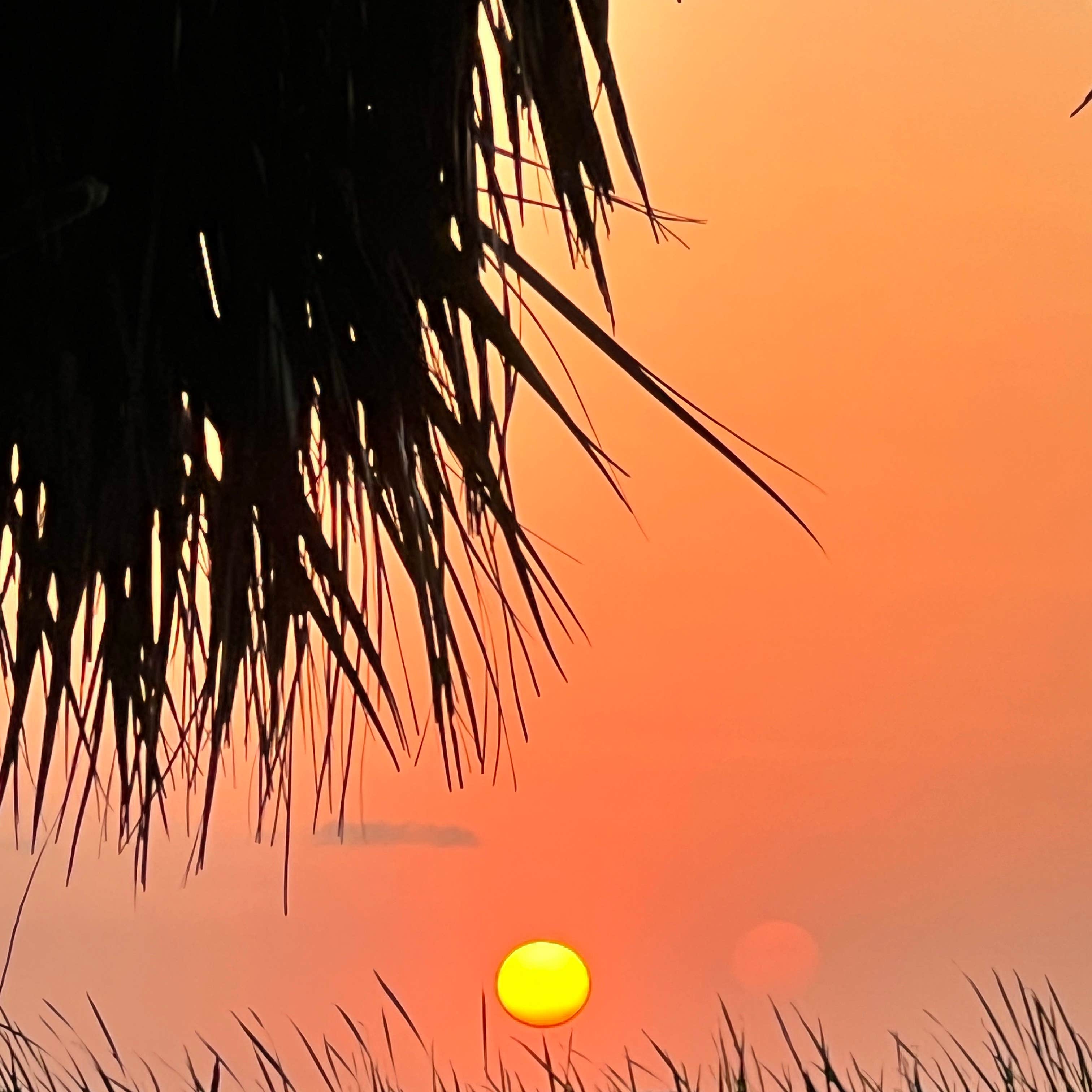 Trimble Park Campground | Mount Dora, Florida