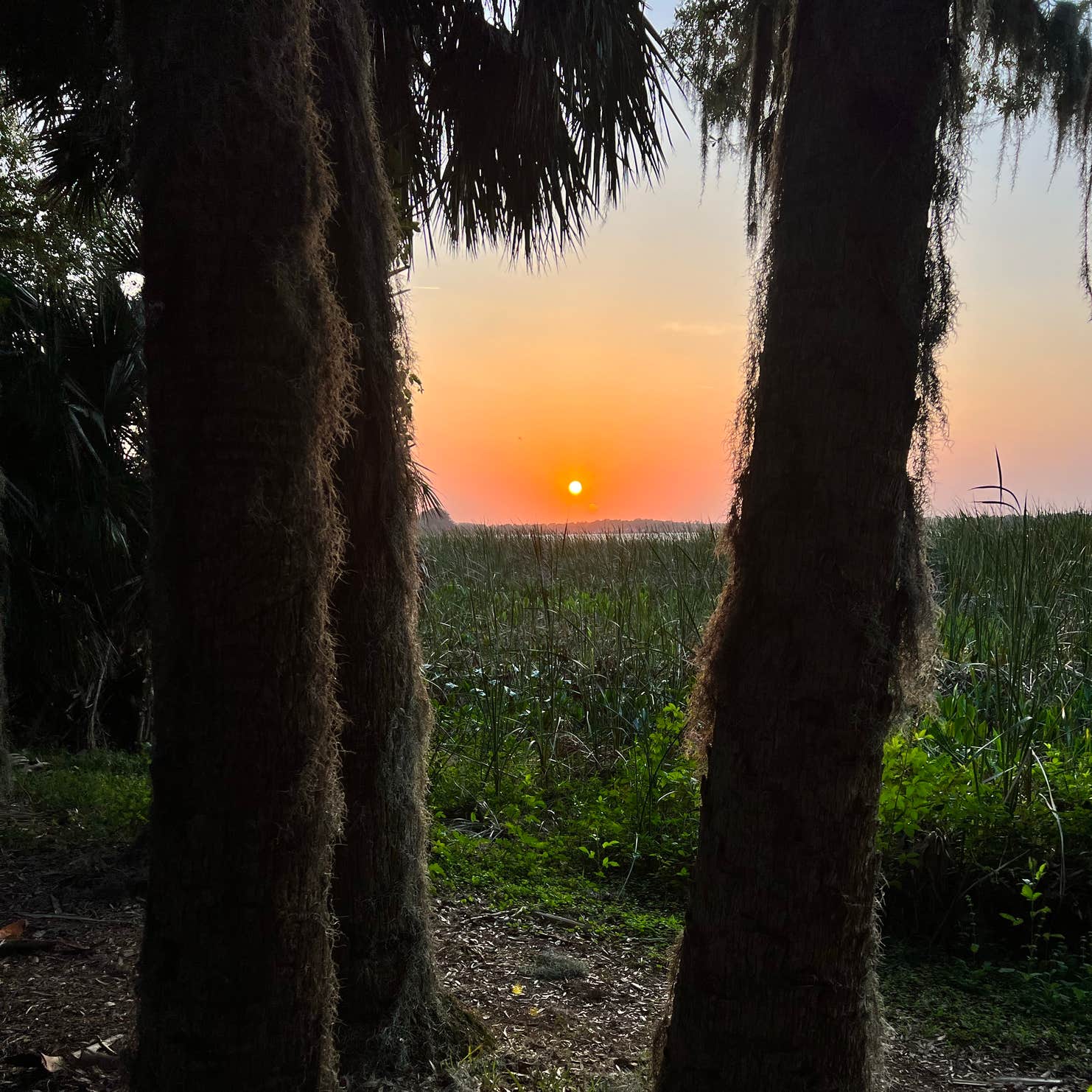 Trimble Park Campground | Mount Dora, FL