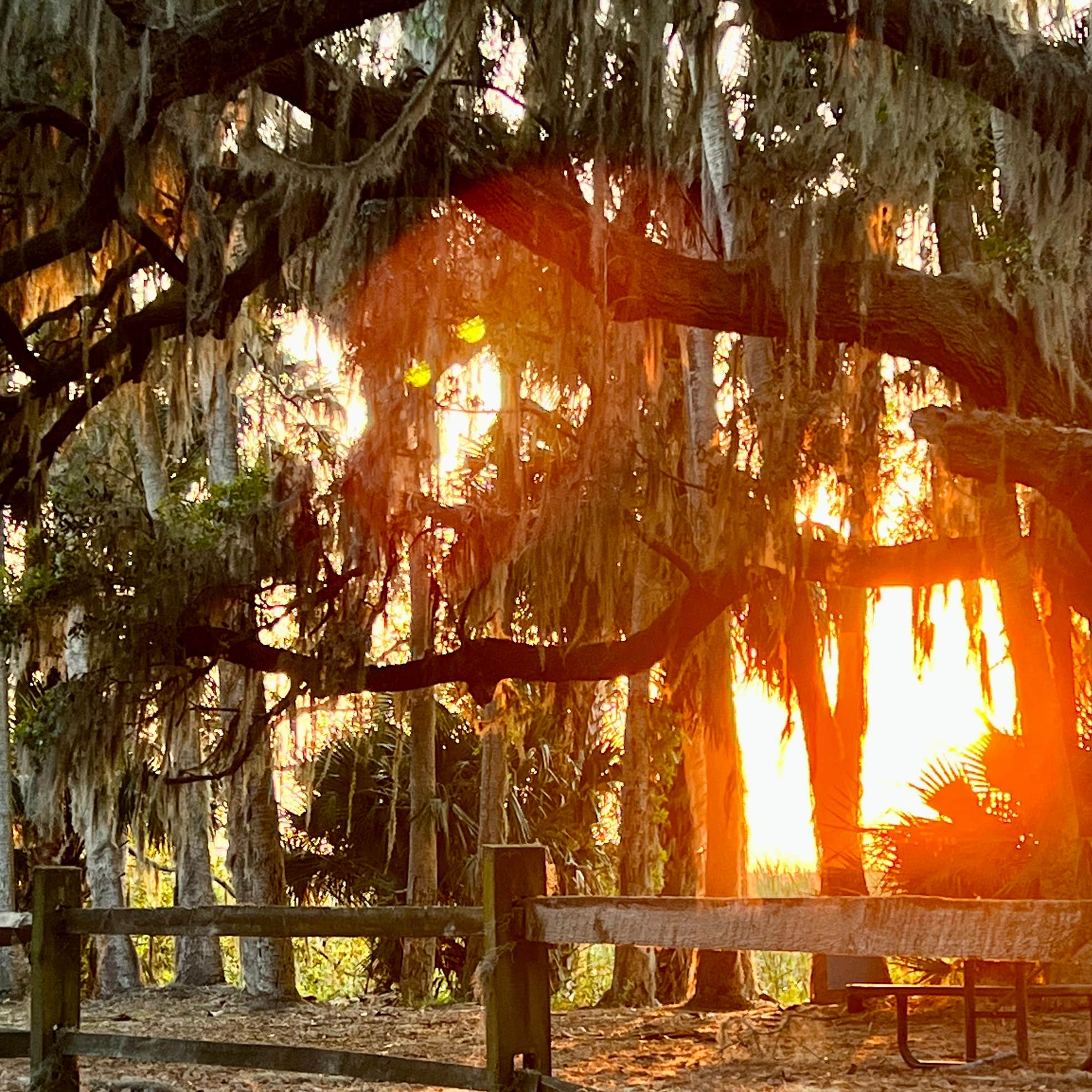 Trimble Park Campground | Mount Dora, Florida