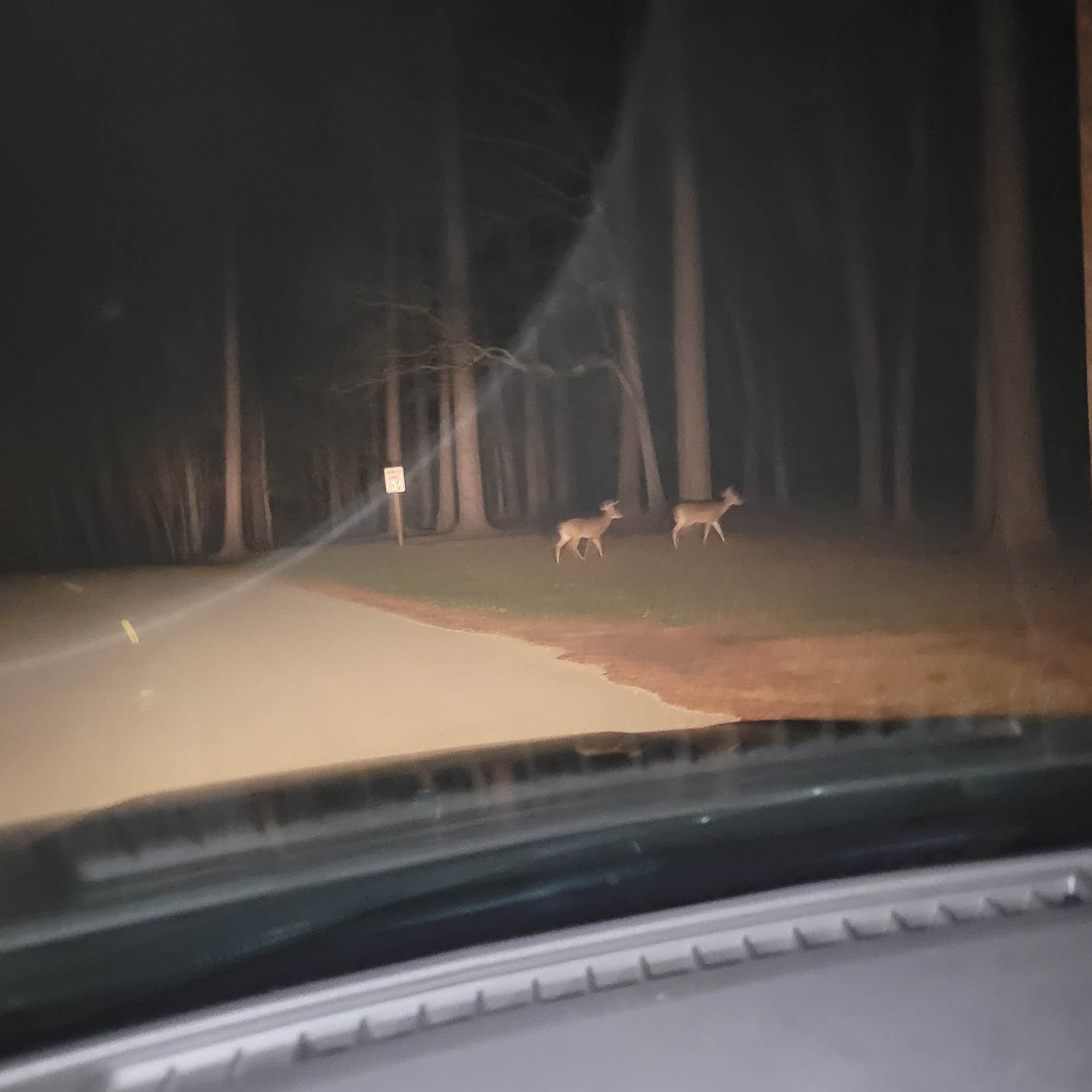 Indian Creek Recreation Area Camping | Woodworth, LA