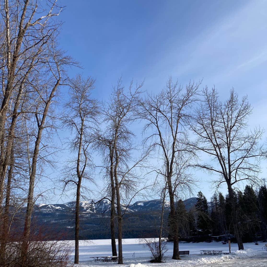 Whitefish Lake State Park Campground | Whitefish, Montana