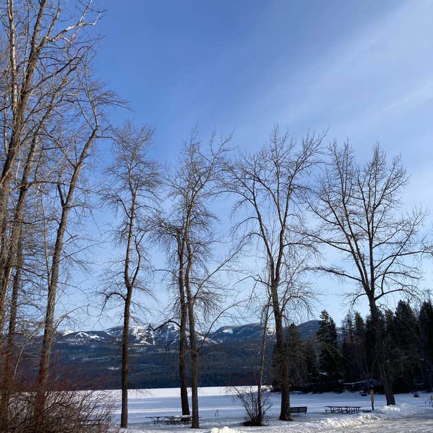 Whitefish Lake State Park Campground | Whitefish, Montana